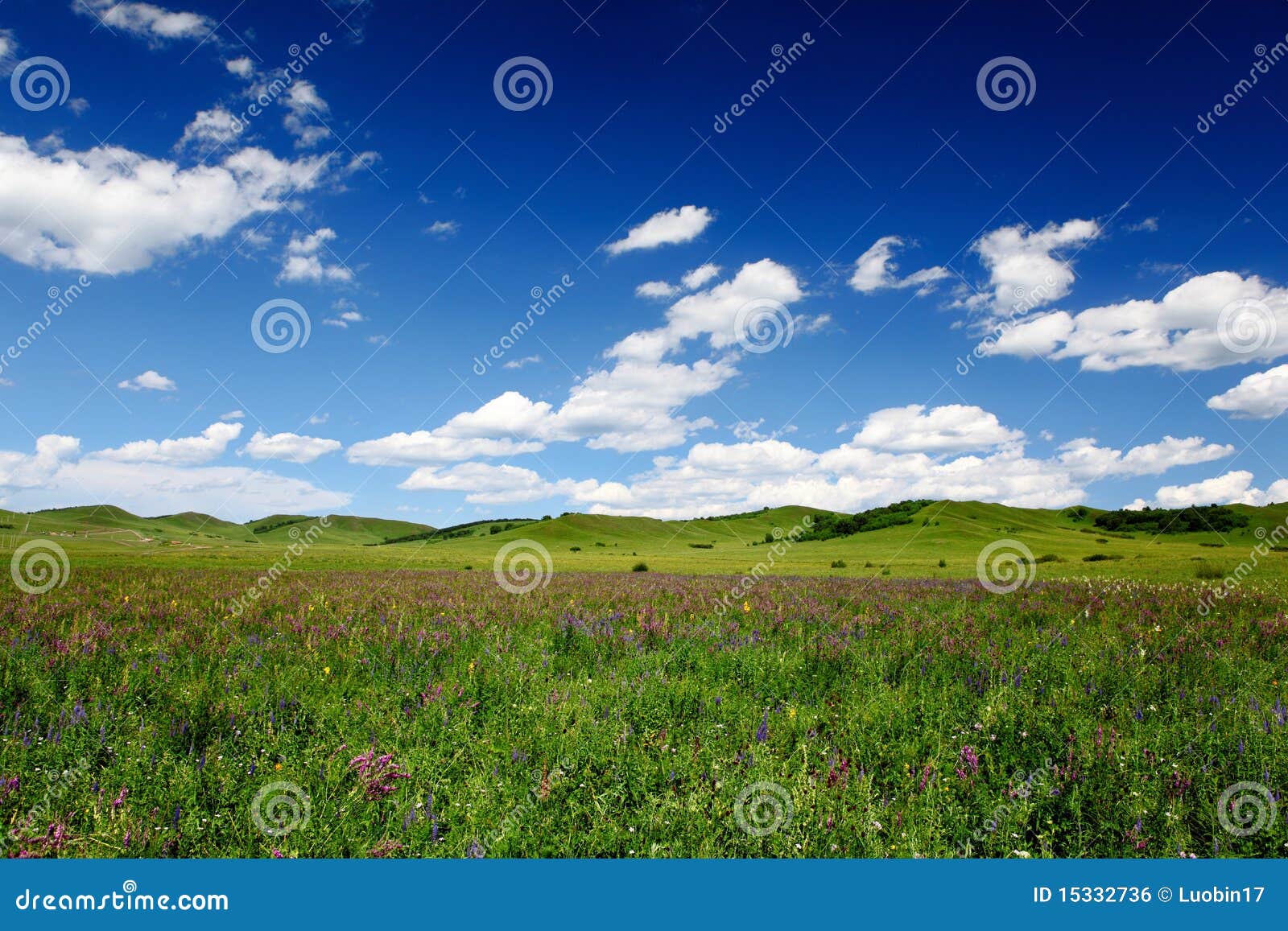 Beautiful Landscape in Grassland Stock Photo - Image of reflection ...