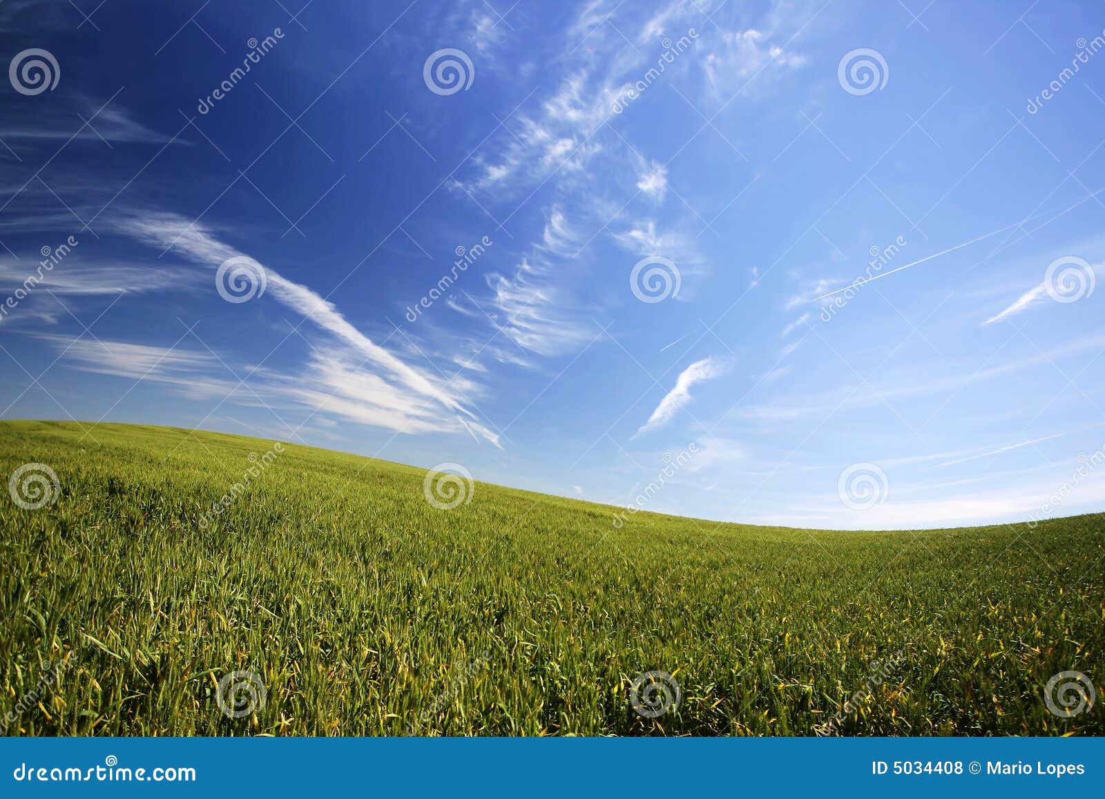 Beautiful Landscape with Green Grass and Blue Sky Stock Photo - Image ...