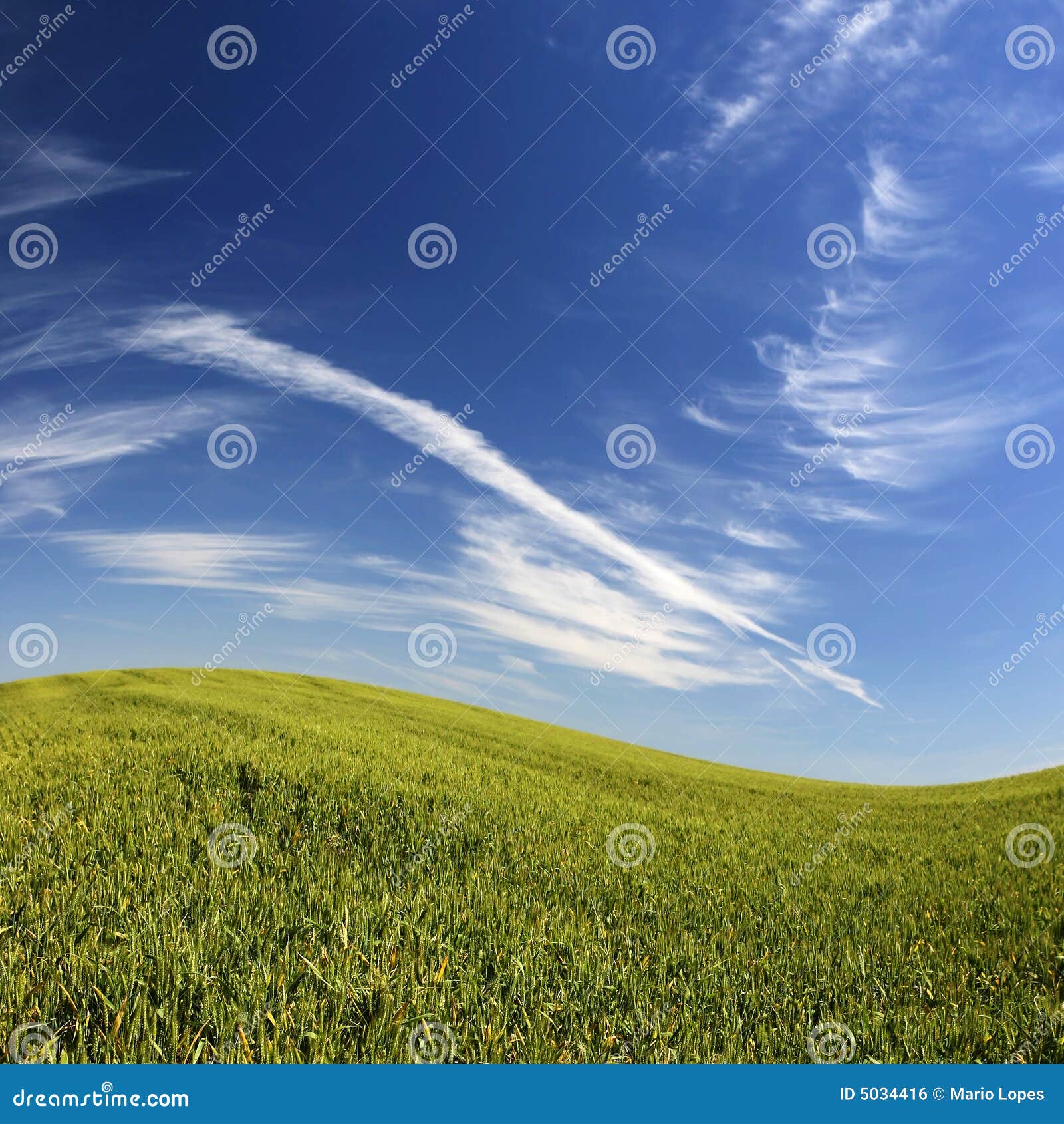 Beautiful Landscape with Green Grass and Blue Sky Stock Photo - Image ...