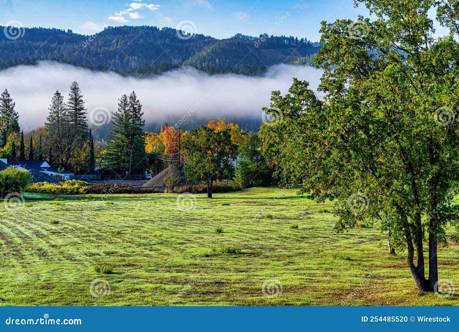 Beautiful Landscape of a Green Meadow with Mountains and Trees in the ...