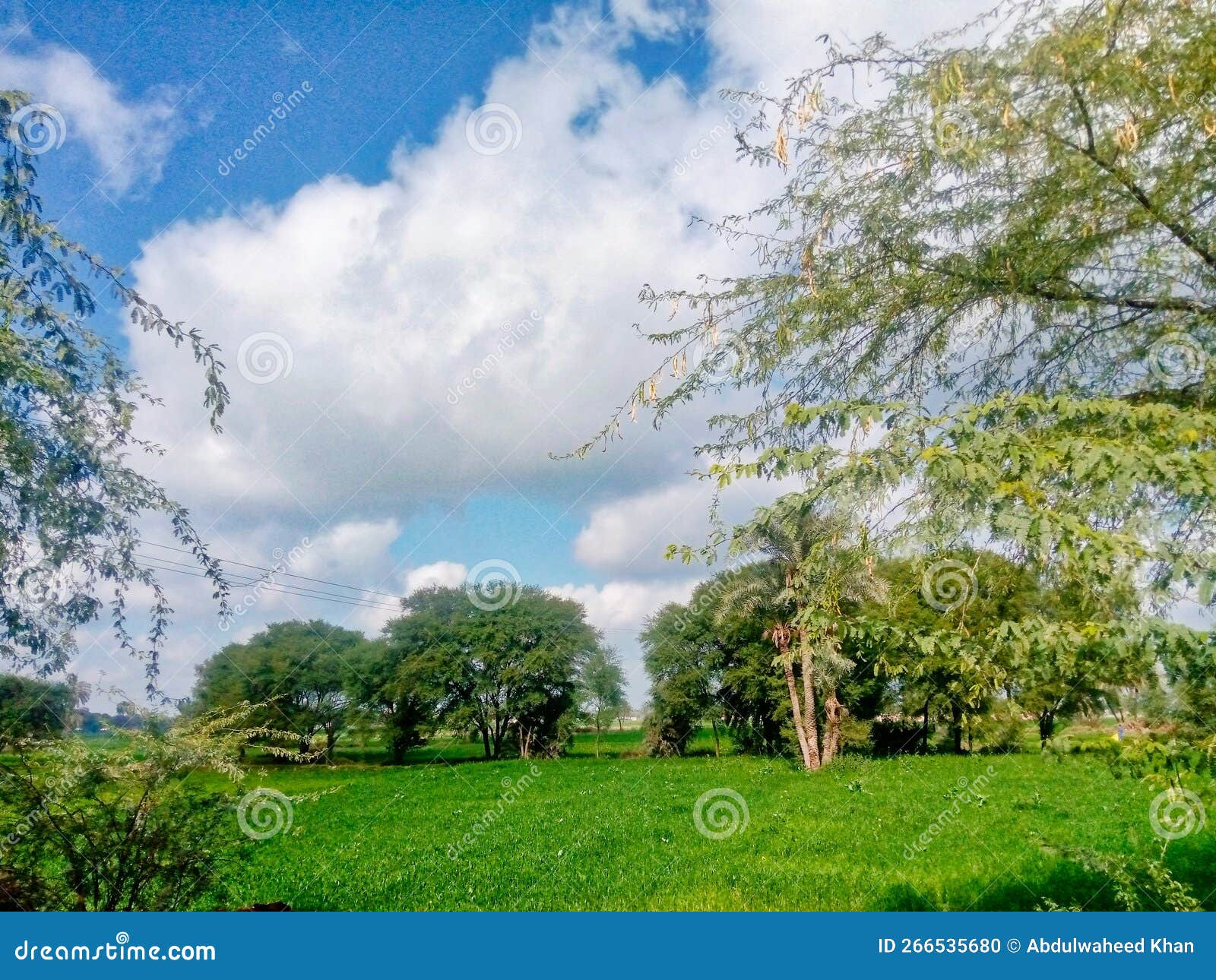 This is Beautiful Landscape Green Trees and Sky Stock Photo - Image of ...