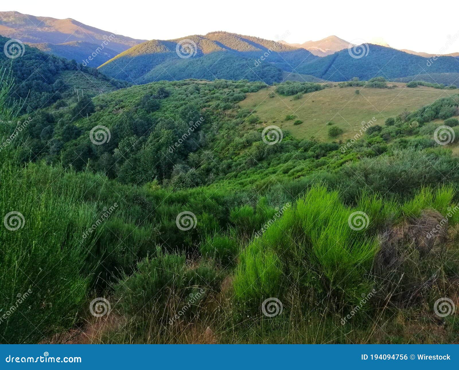 Beautiful Landscape of Hills Covered with Lush Greenery in Riano, Spain ...