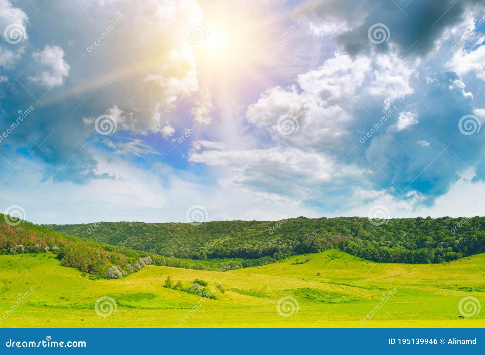 105,855 Beautiful Grass Fields Stock Photos - Free & Royalty-Free Stock ...