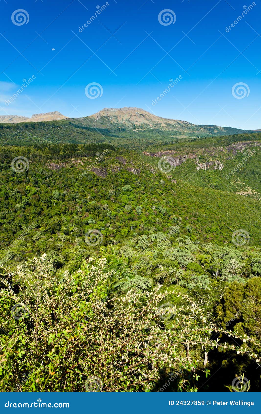 Beautiful Landscape of Hogsback Mountain Stock Image - Image of green ...