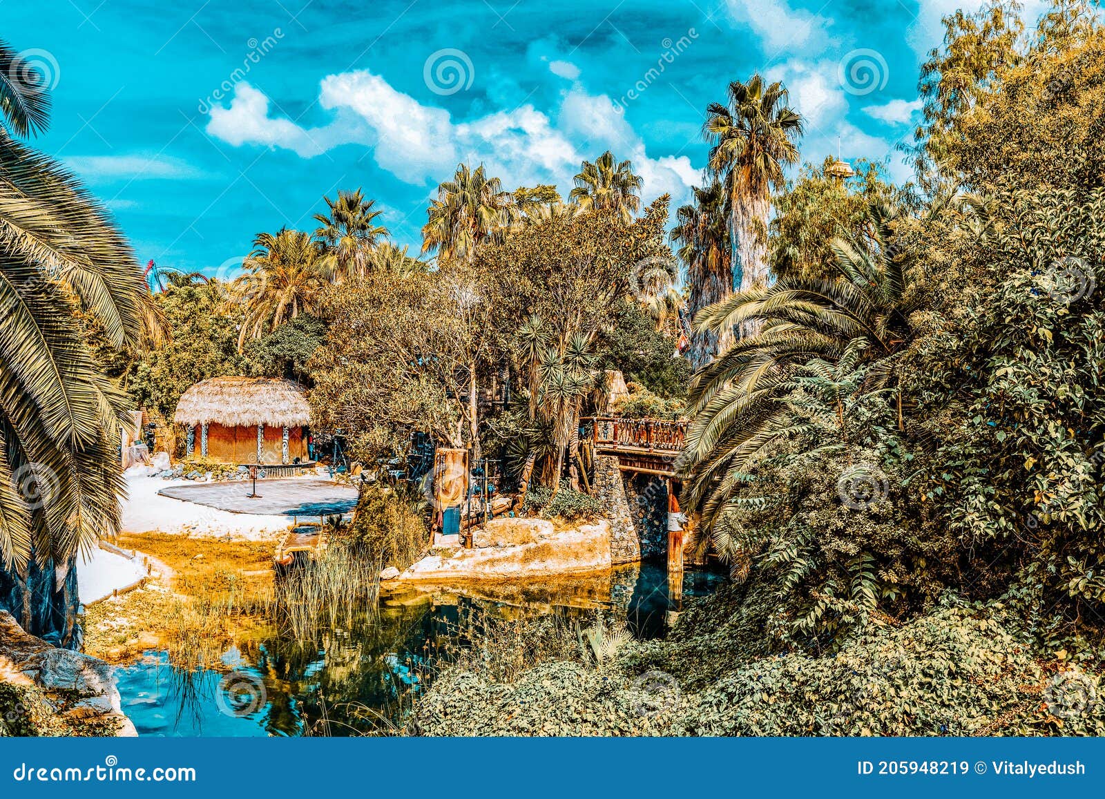 Beautiful Landscape of Humid Tropical Jungle Stock Image - Image of ...