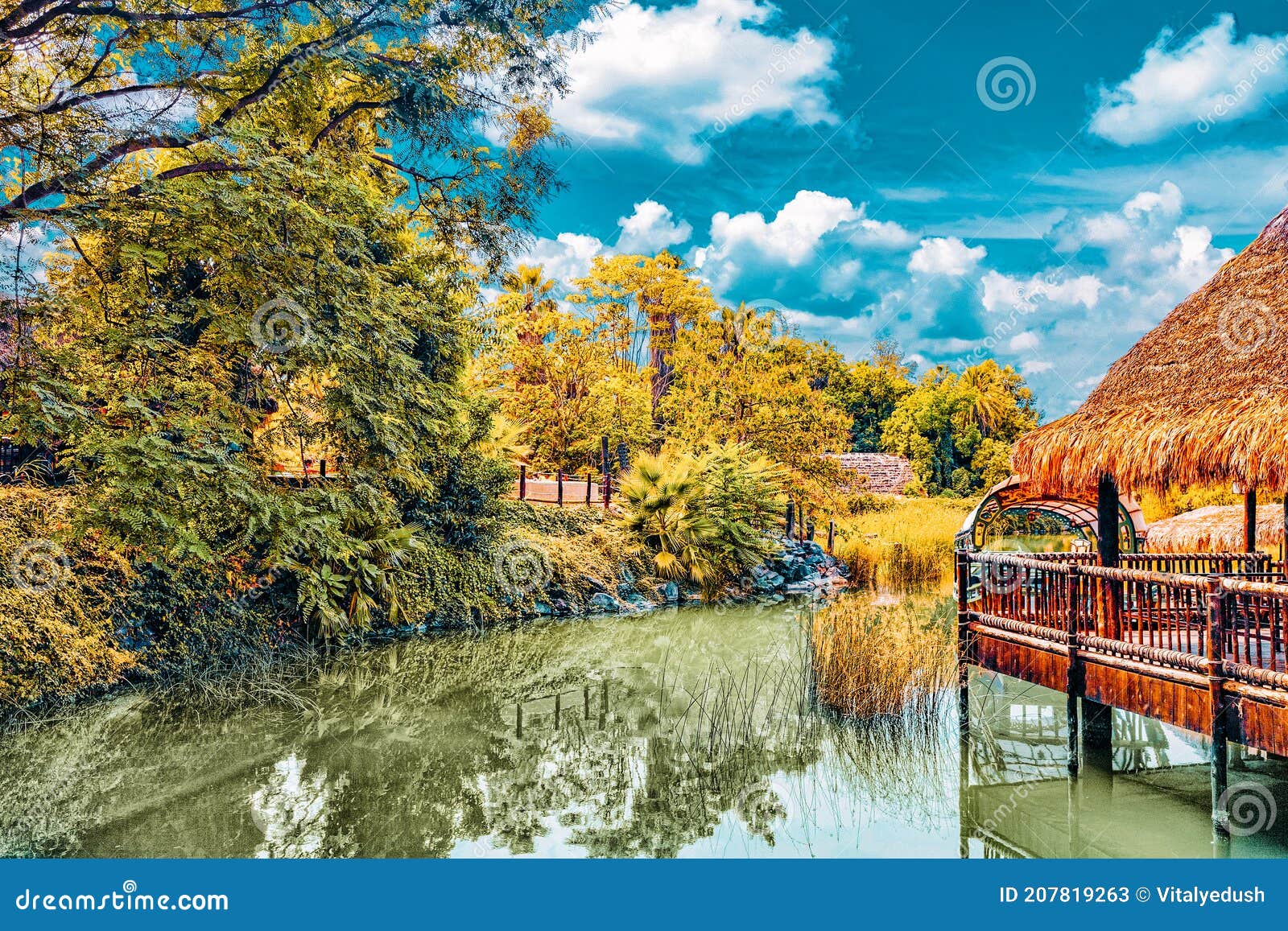 Beautiful Landscape of Humid Tropical Jungle Stock Image - Image of ...