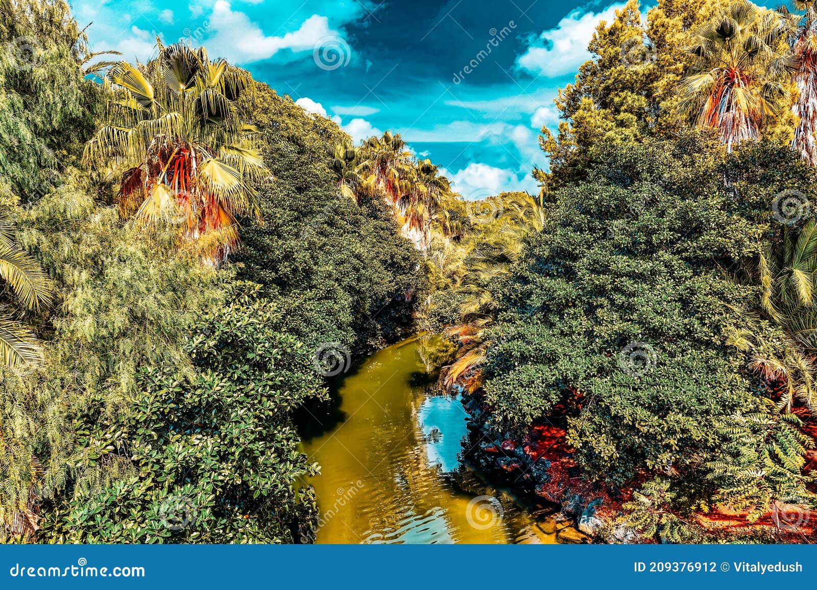 Beautiful Landscape of Humid Tropical Jungle Stock Photo - Image of ...
