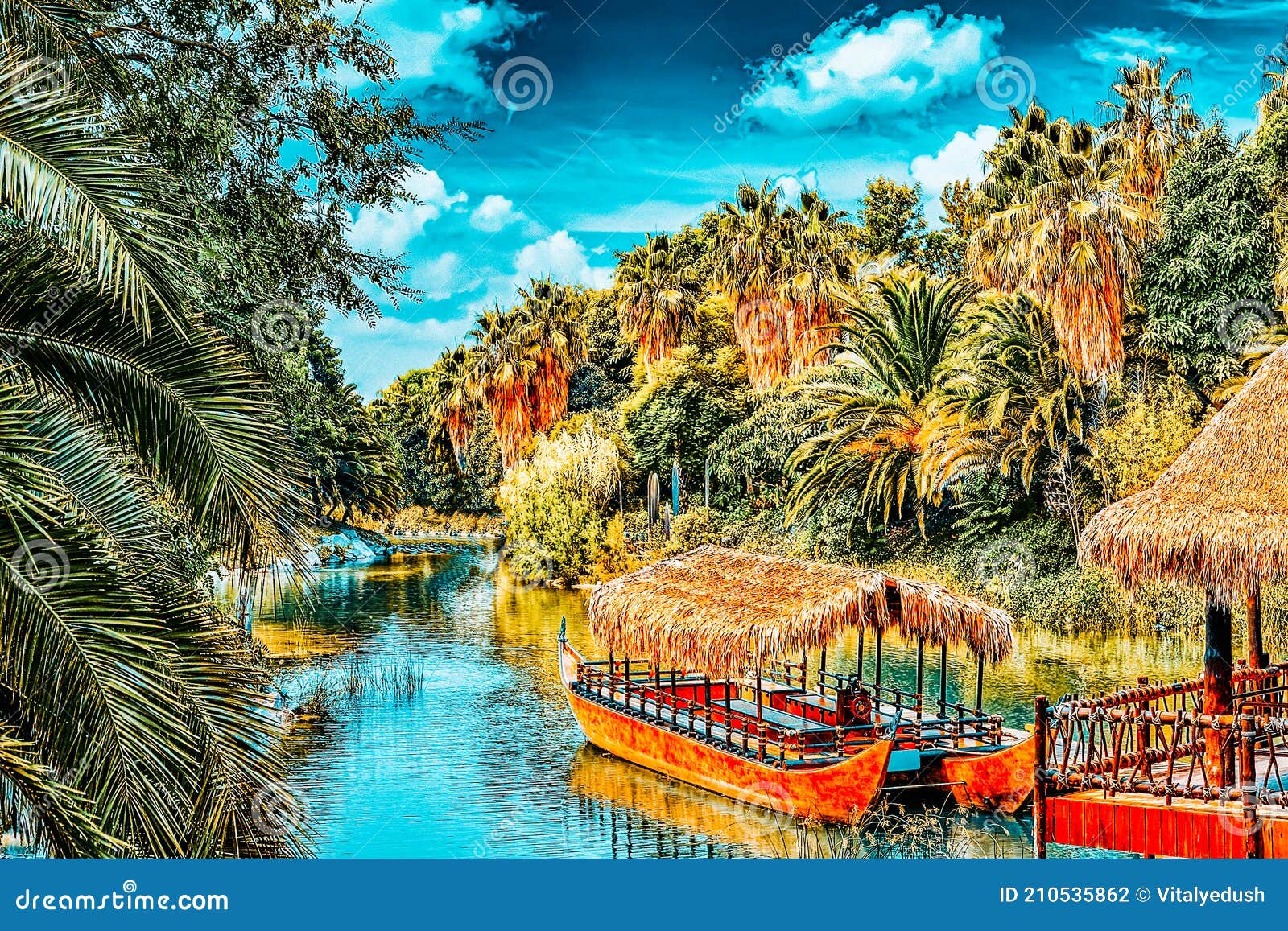 Beautiful Landscape of Humid Tropical Jungle Stock Photo - Image of ...