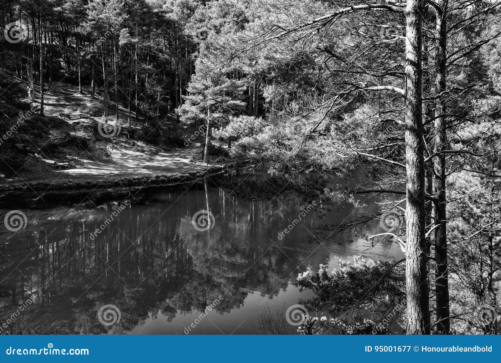 Beautiful Landscape Image of Old Clay Pit Quarry Lake in Black a Stock ...