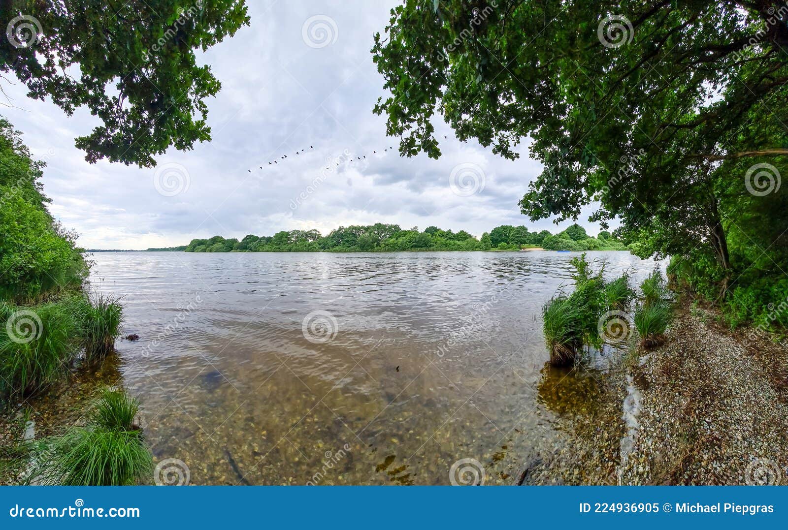 Beautiful Landscape at a Lake with a Reflective Water Surface Stock ...