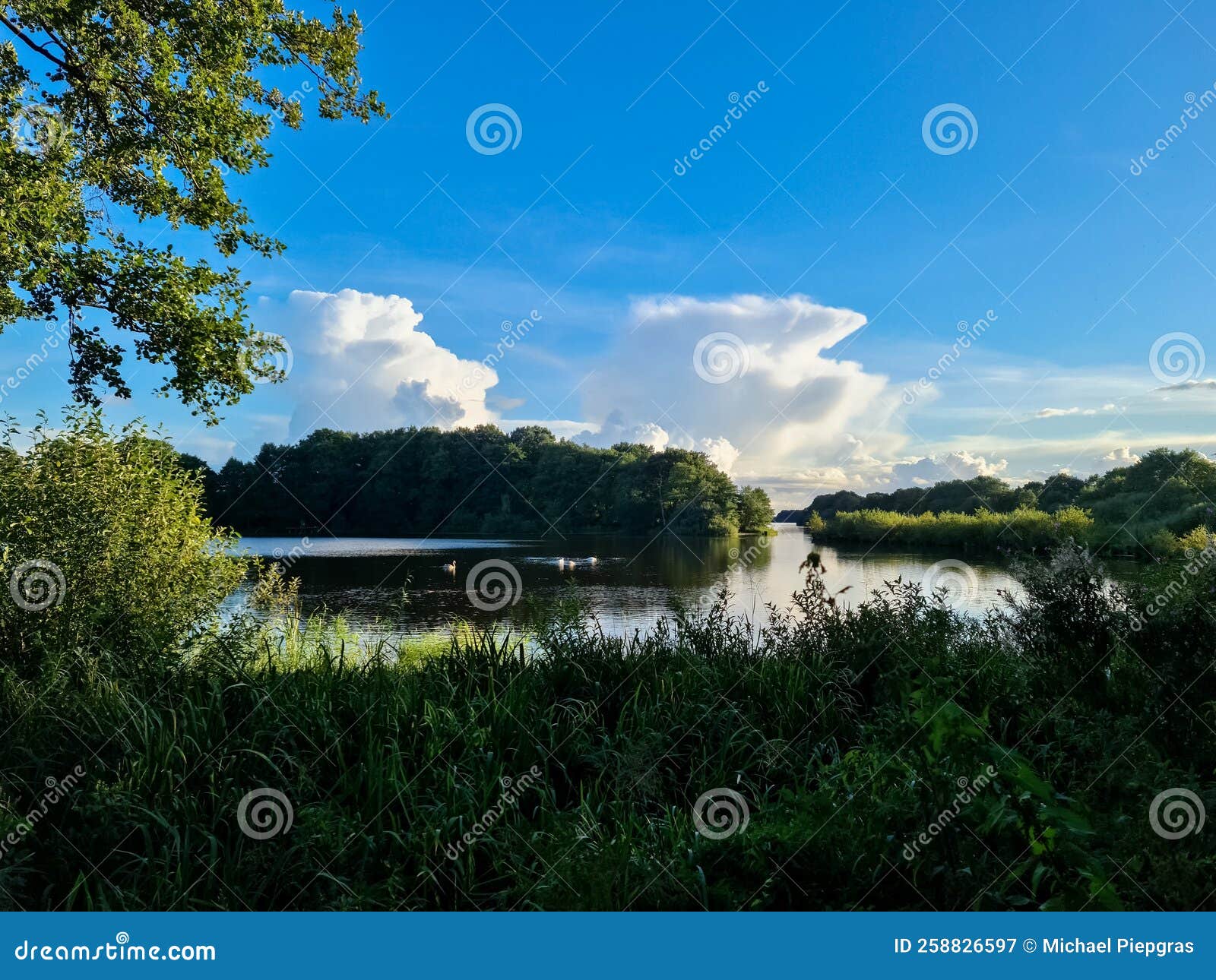 Beautiful Landscape at a Lake with a Reflective Water Surface Stock ...