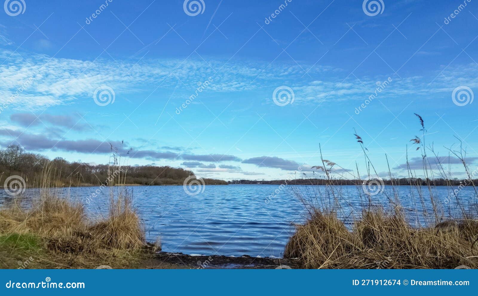 Beautiful Landscape at a Lake with a Reflective Water Surface Stock ...