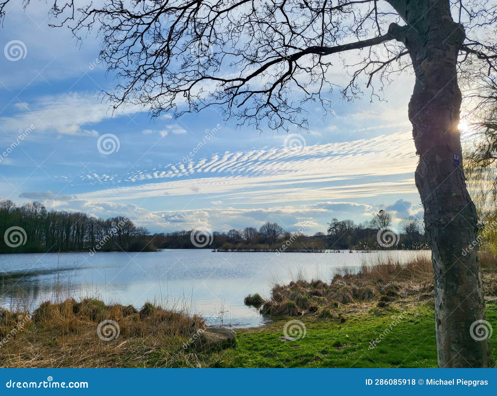 Beautiful Landscape at a Lake with a Reflective Water Surface Stock ...