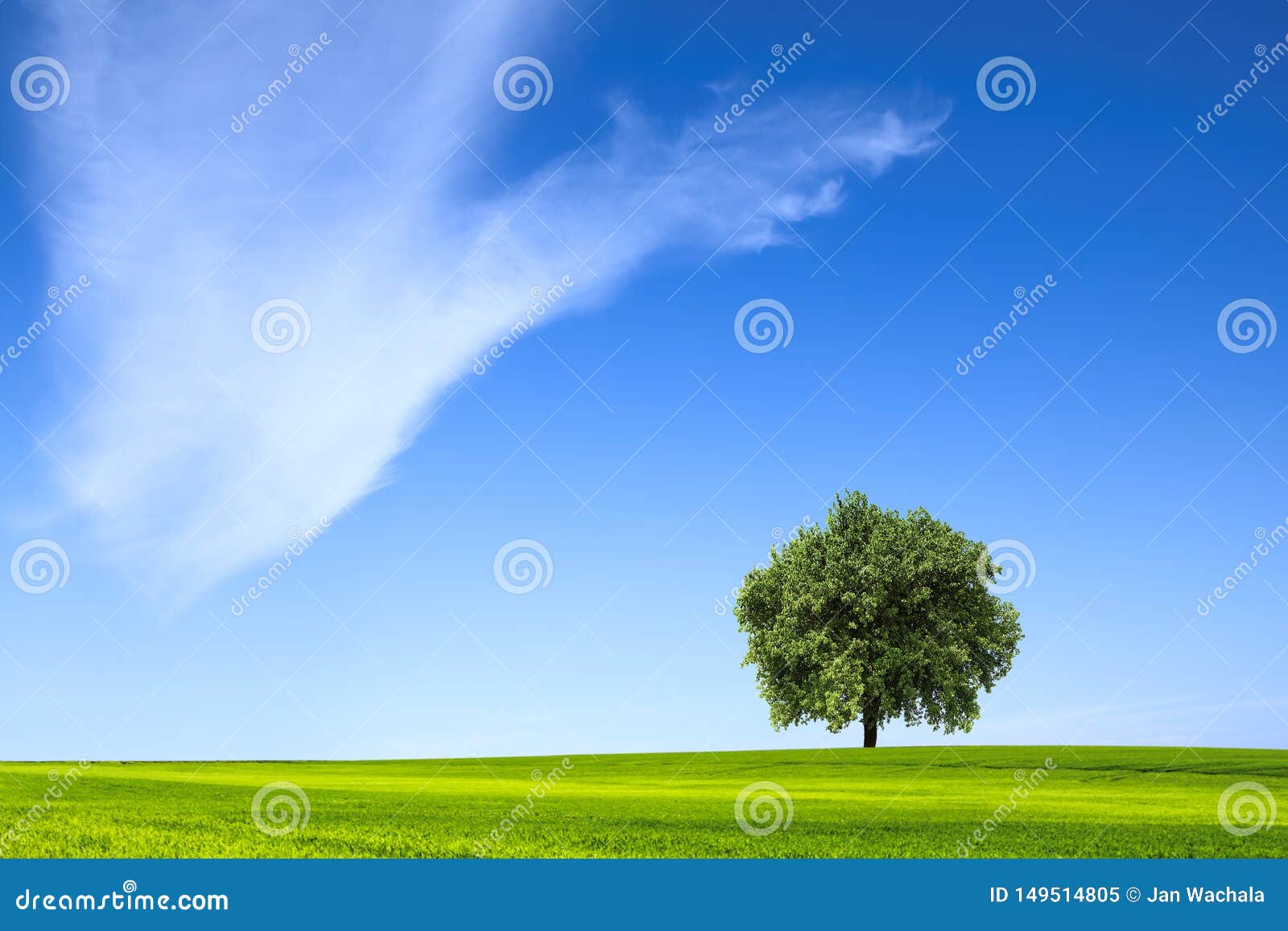 Beautiful Landscape with Lone Tree Stock Image - Image of landscape ...