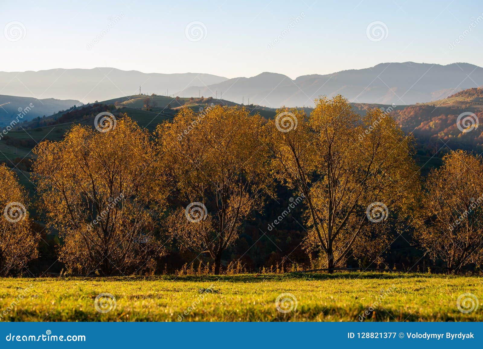 Beautiful Landscape with Magic Autumn Trees Stock Image - Image of ...