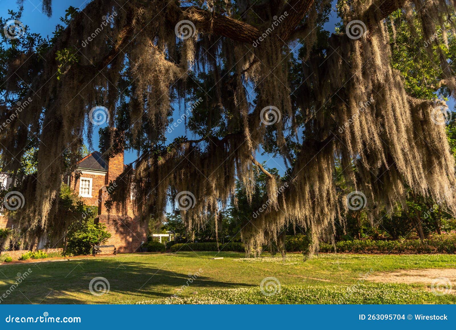 Beautiful Landscape of a Mansion with Green Oak Trees Stock Photo ...