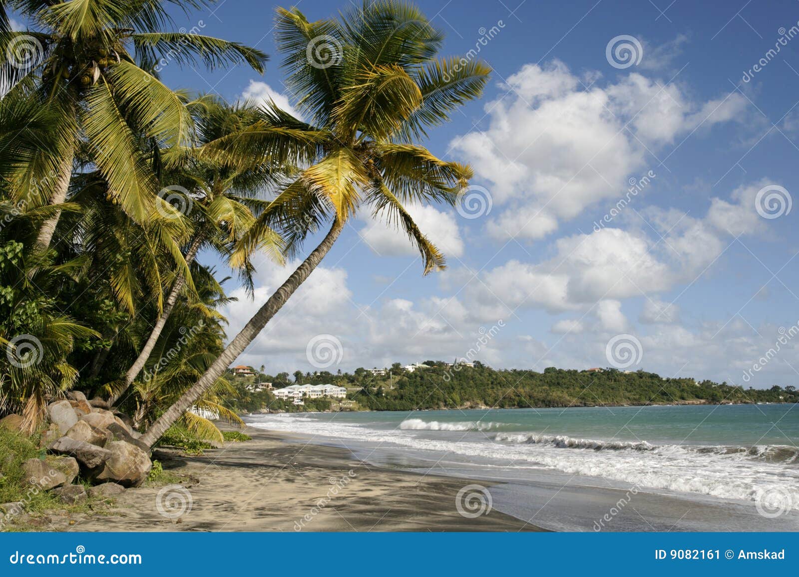A Beautiful Landscape in Martinique Stock Image - Image of sunny, coast ...
