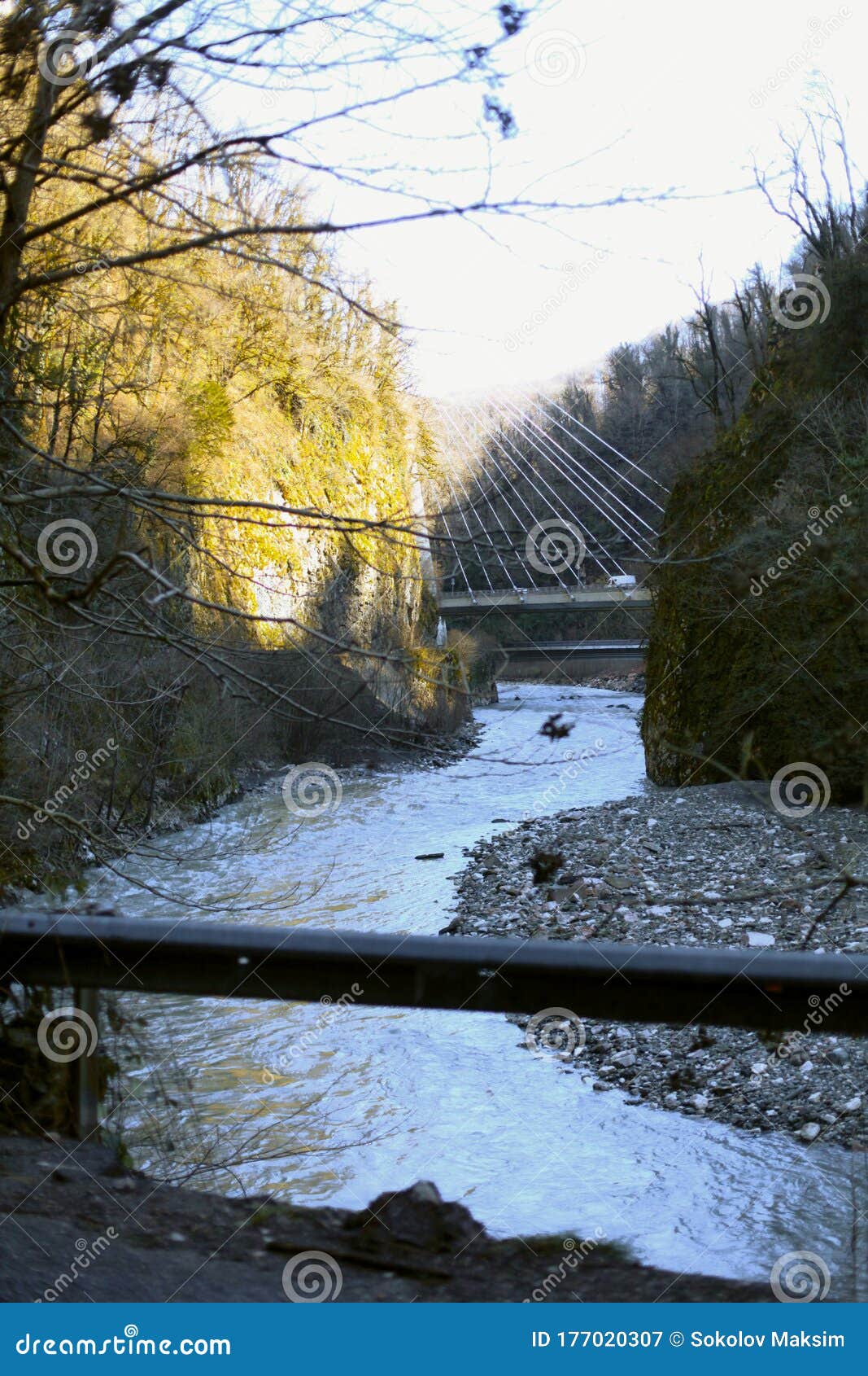 Beautiful Landscape of Mountain River in Forest. Bright Panorama of ...