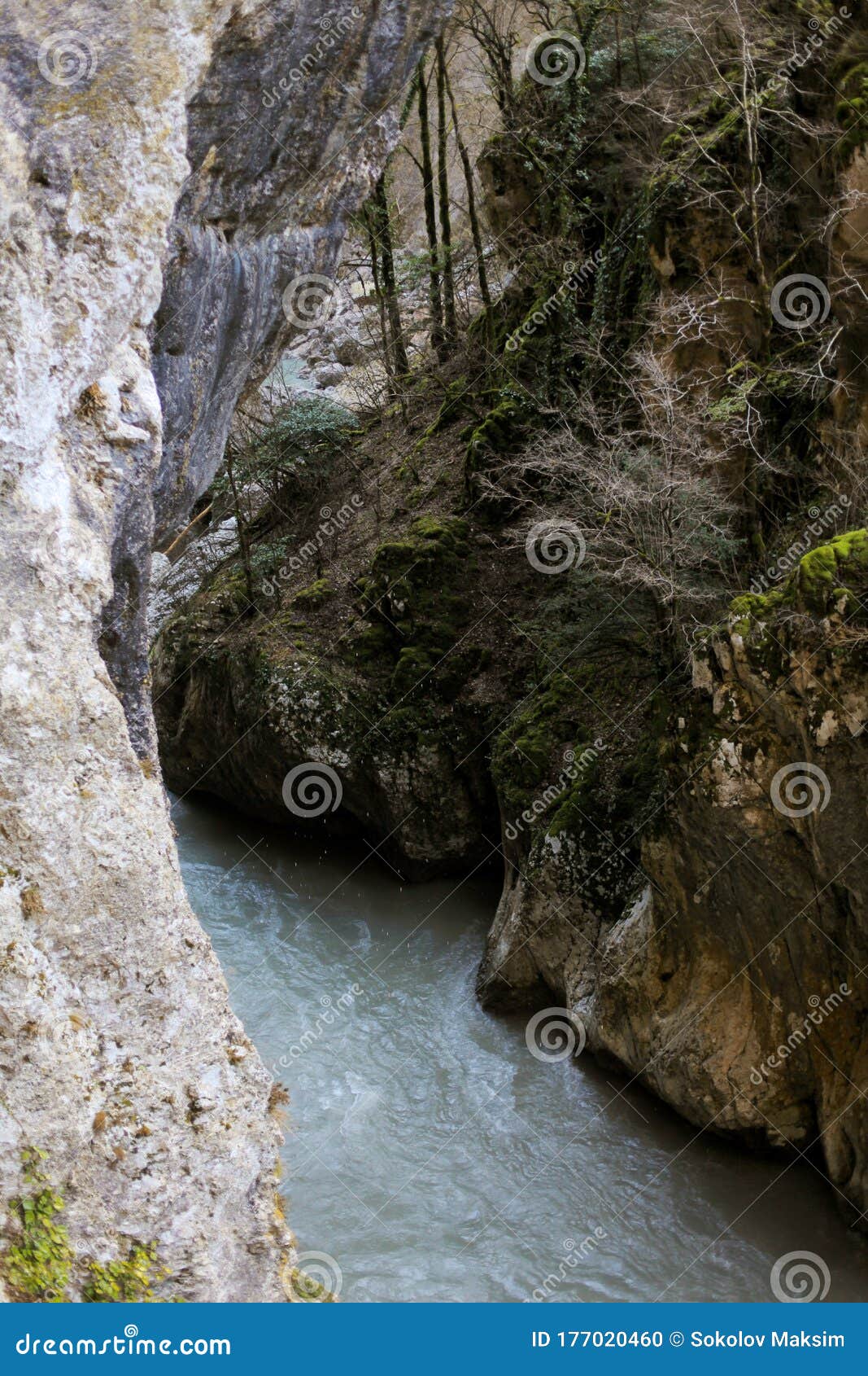 Beautiful Landscape of Mountain River in Forest. Bright Panorama of ...