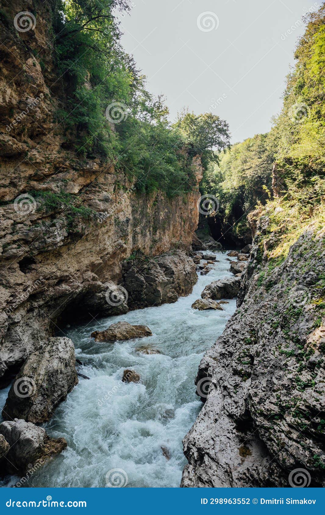 Beautiful Landscape of Mountain River and Green Forest Stock Photo ...
