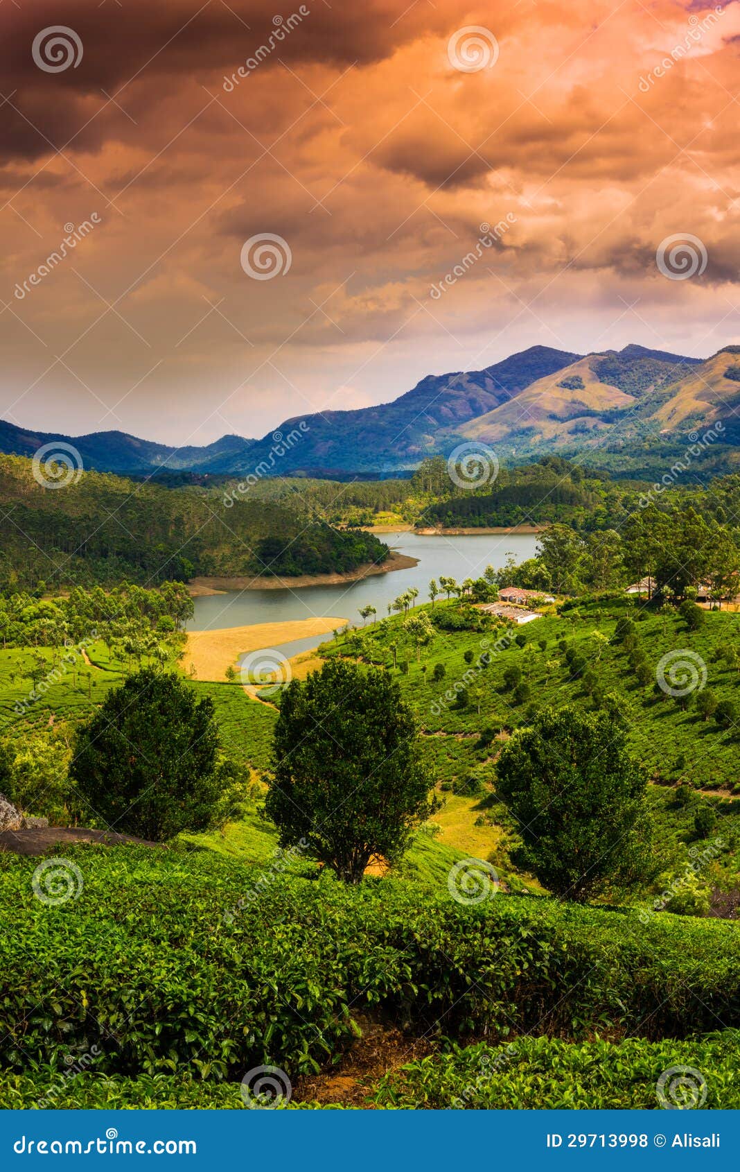 Beautiful Landscape the Mountain and the River in India Kerala Stock ...