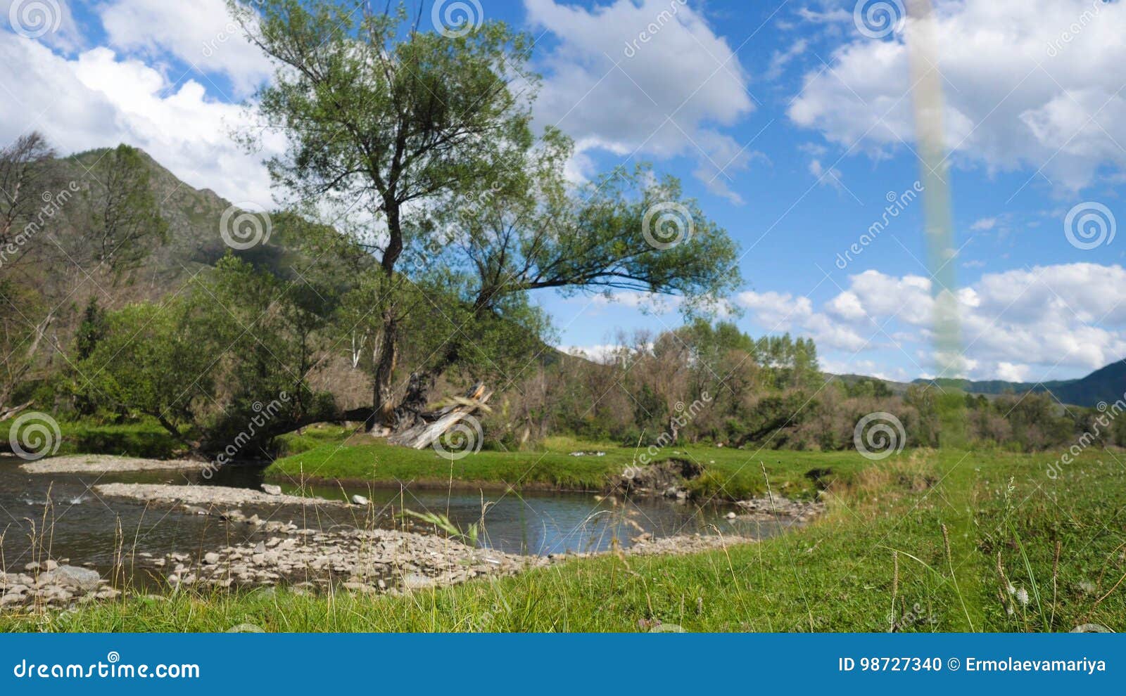 Beautiful Landscape with Mountains Trees and a River Stock Photo ...