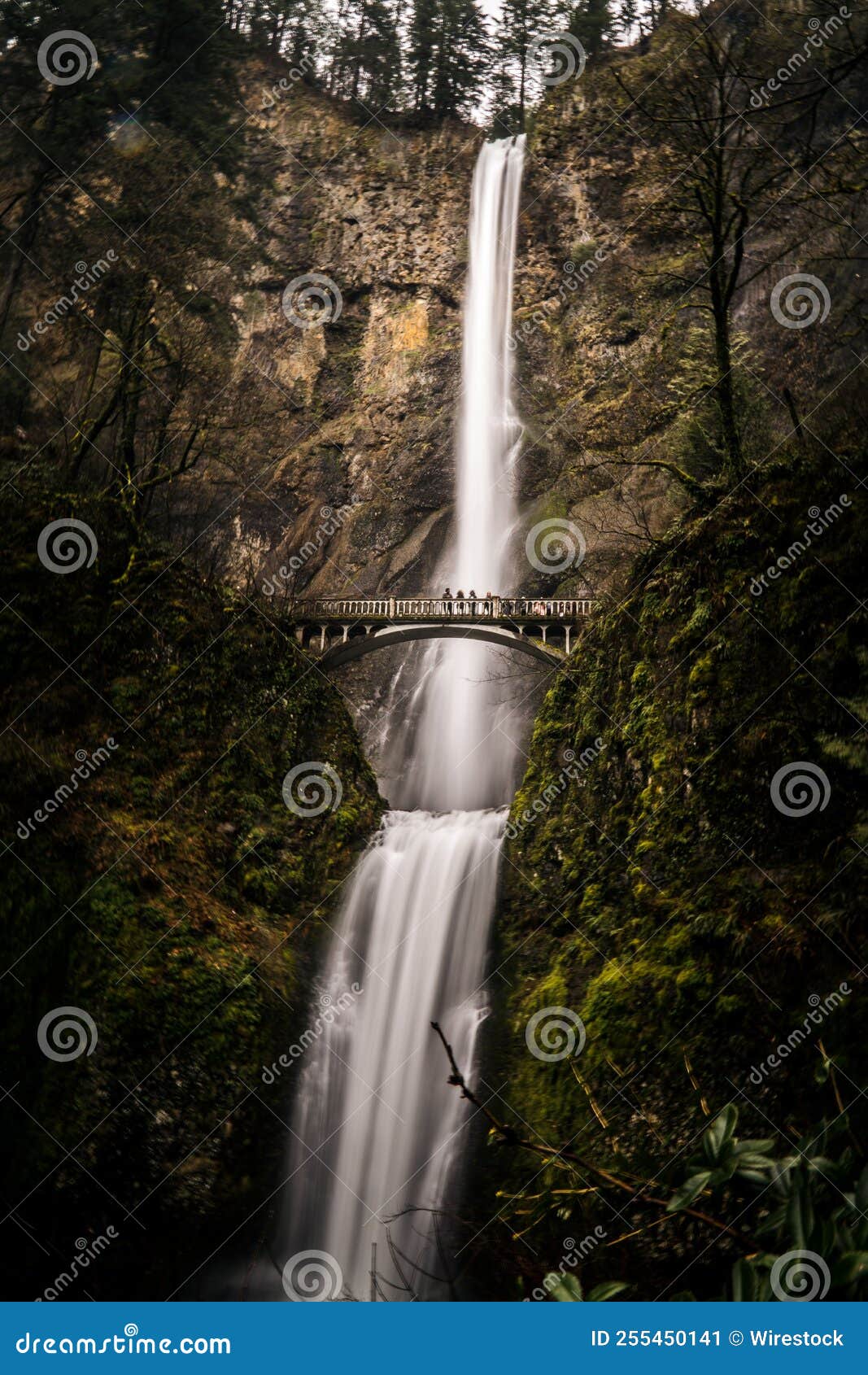 Beautiful Landscape of Multnomah Falls in Oregon Stock Image - Image of ...