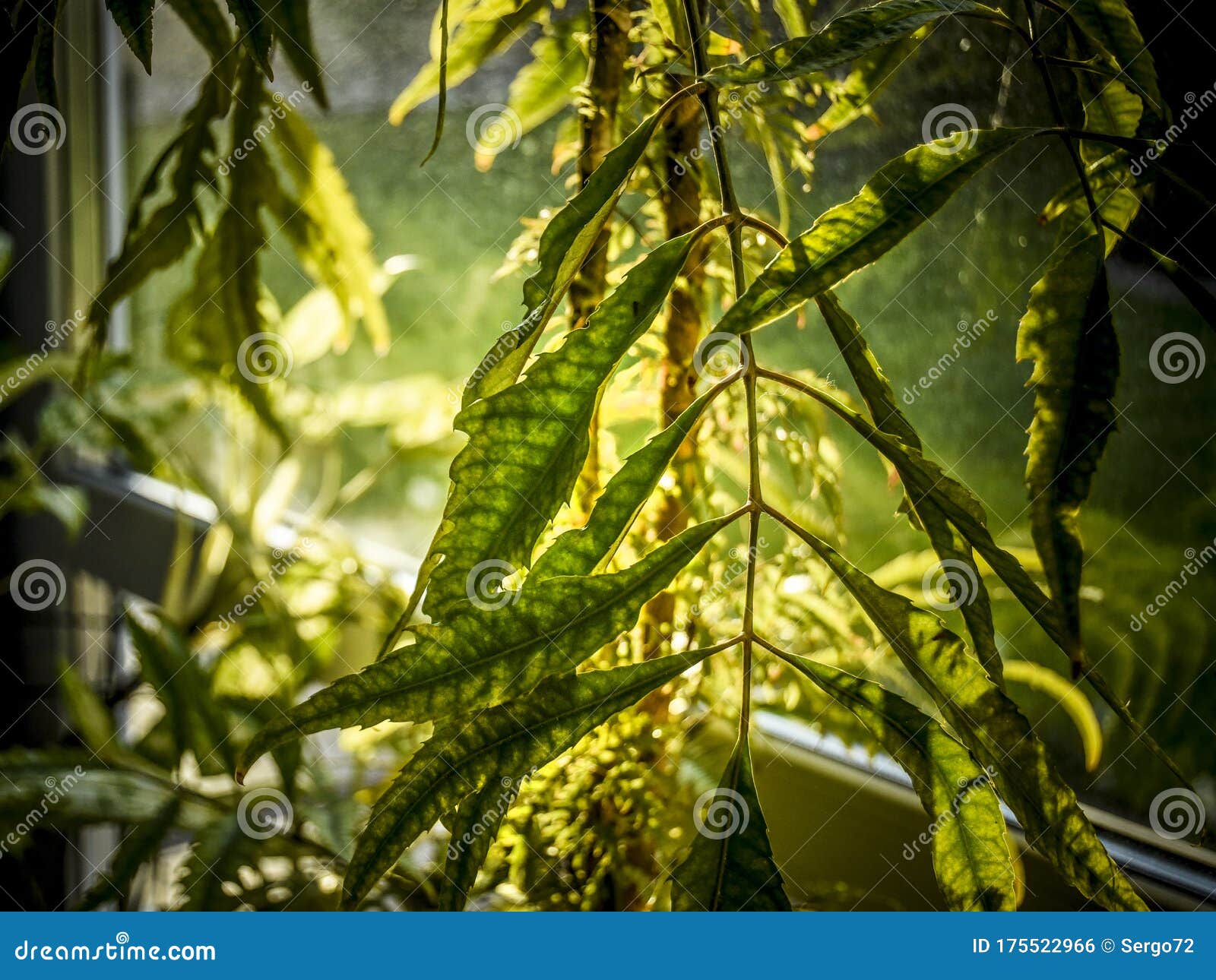 Beautiful Landscape with Objects Stock Photo - Image of bright, frame ...