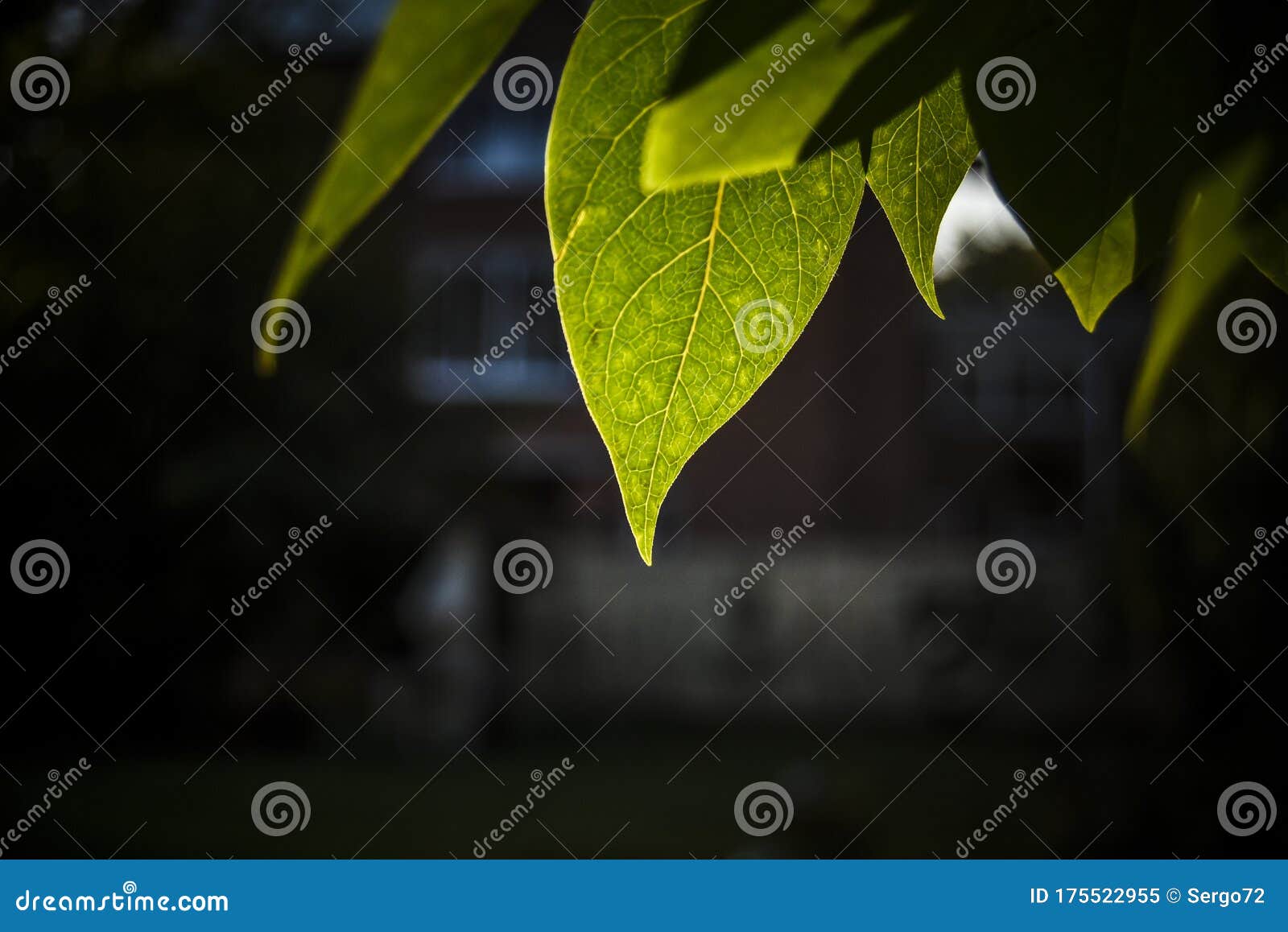 Beautiful Landscape with Objects Stock Image - Image of macro ...