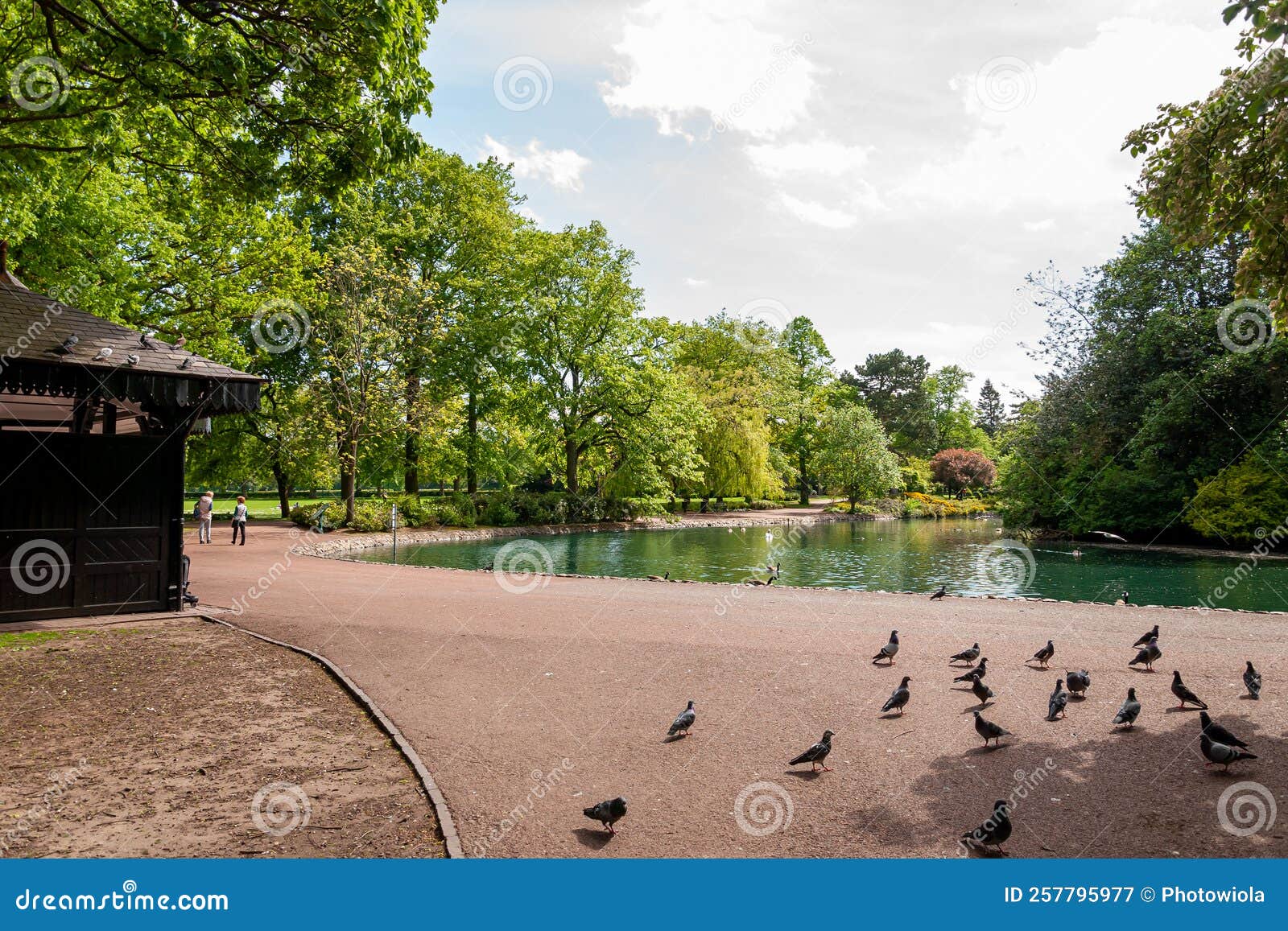 Beautiful Landscape in a Park in Wolverhampton. England Stock Image ...