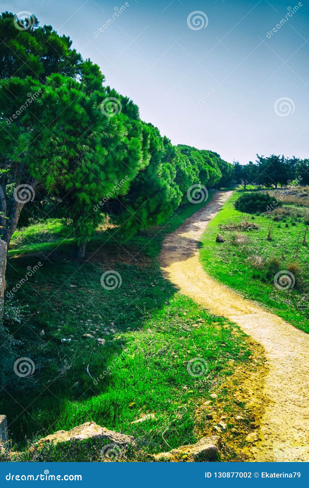 Beautiful Landscape with Path and Cedar Trees. Stock Photo - Image of ...