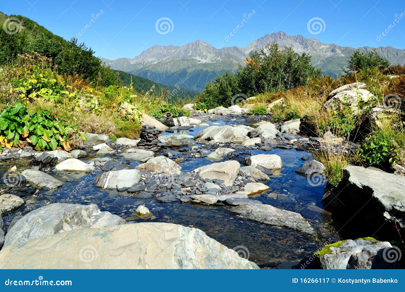 The Beautiful Landscape Of Pure Mountain Stream Royalty Free Stock ...