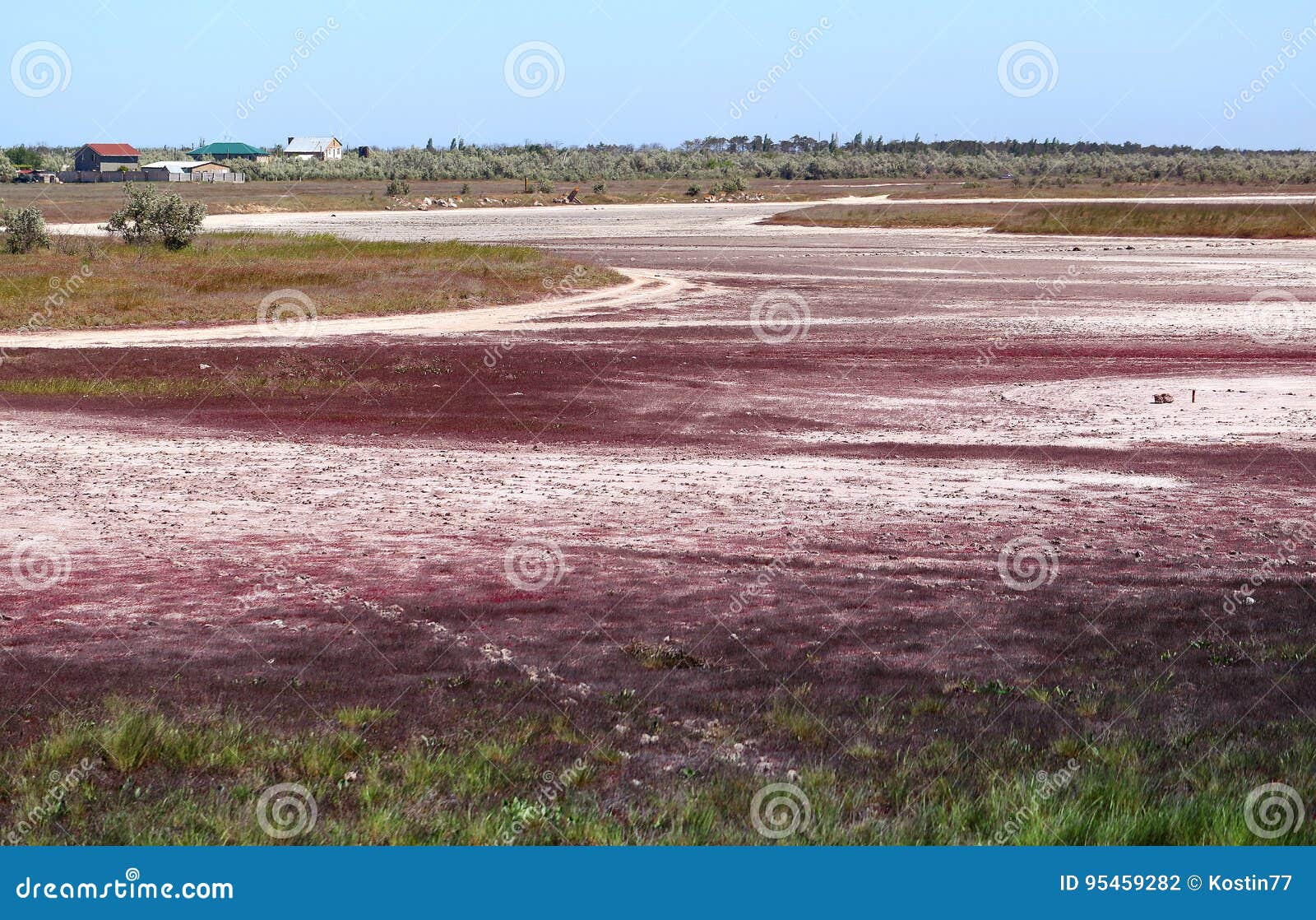 Beautiful Landscape Red Field Stock Photo - Image of floral, abstract ...