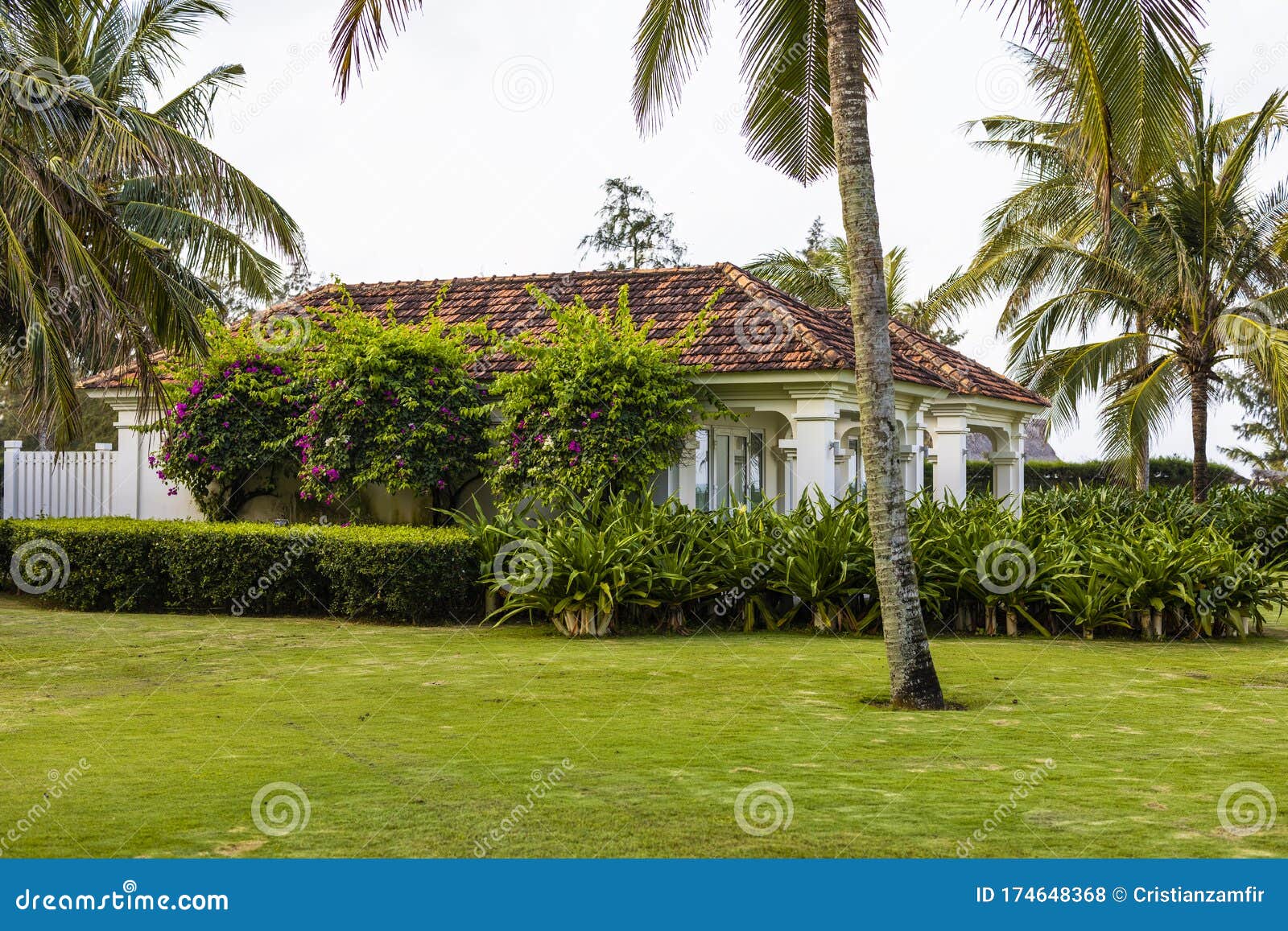 Beautiful Resort with Palm Trees Stock Photo - Image of resort ...