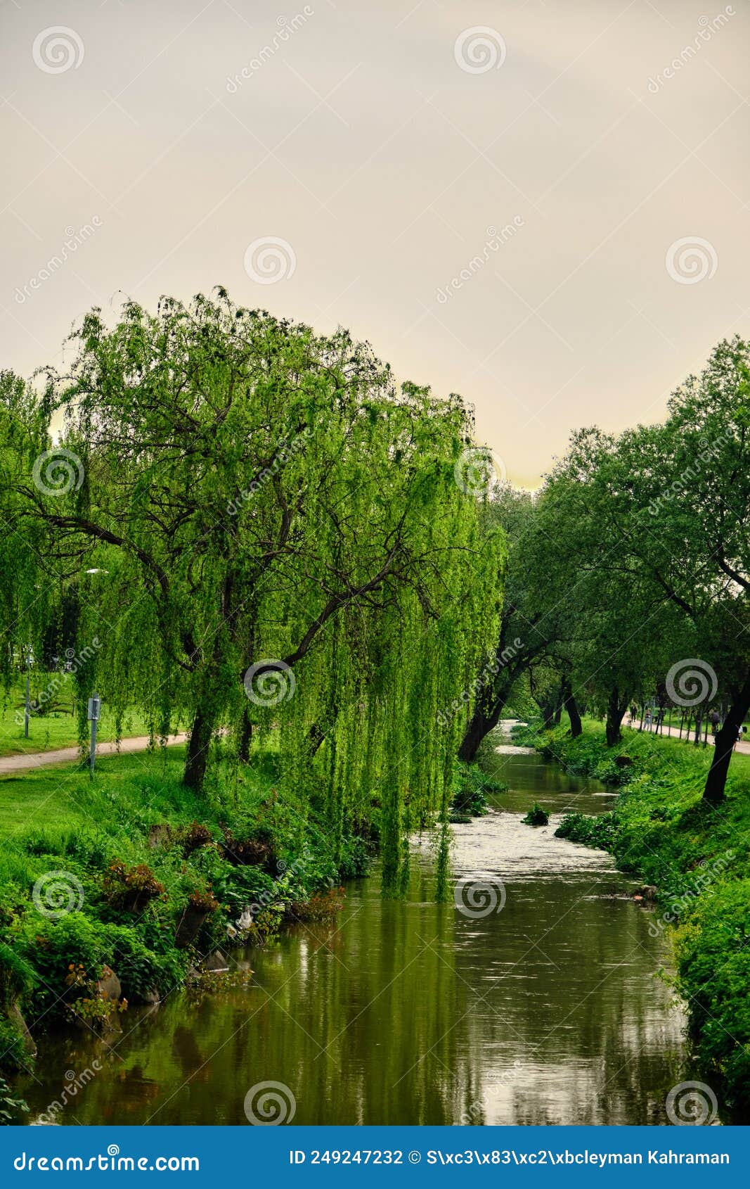 Beautiful Landscape with River and Tree, Reflection of Green Tree Stock ...