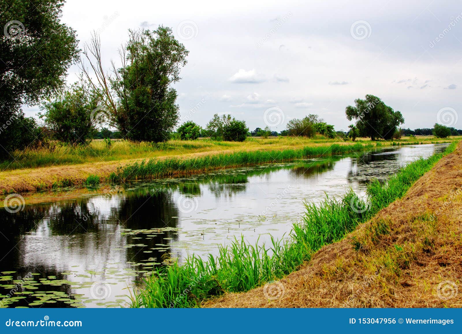 Beautiful Landscape with River and Tress Stock Photo - Image of stream ...
