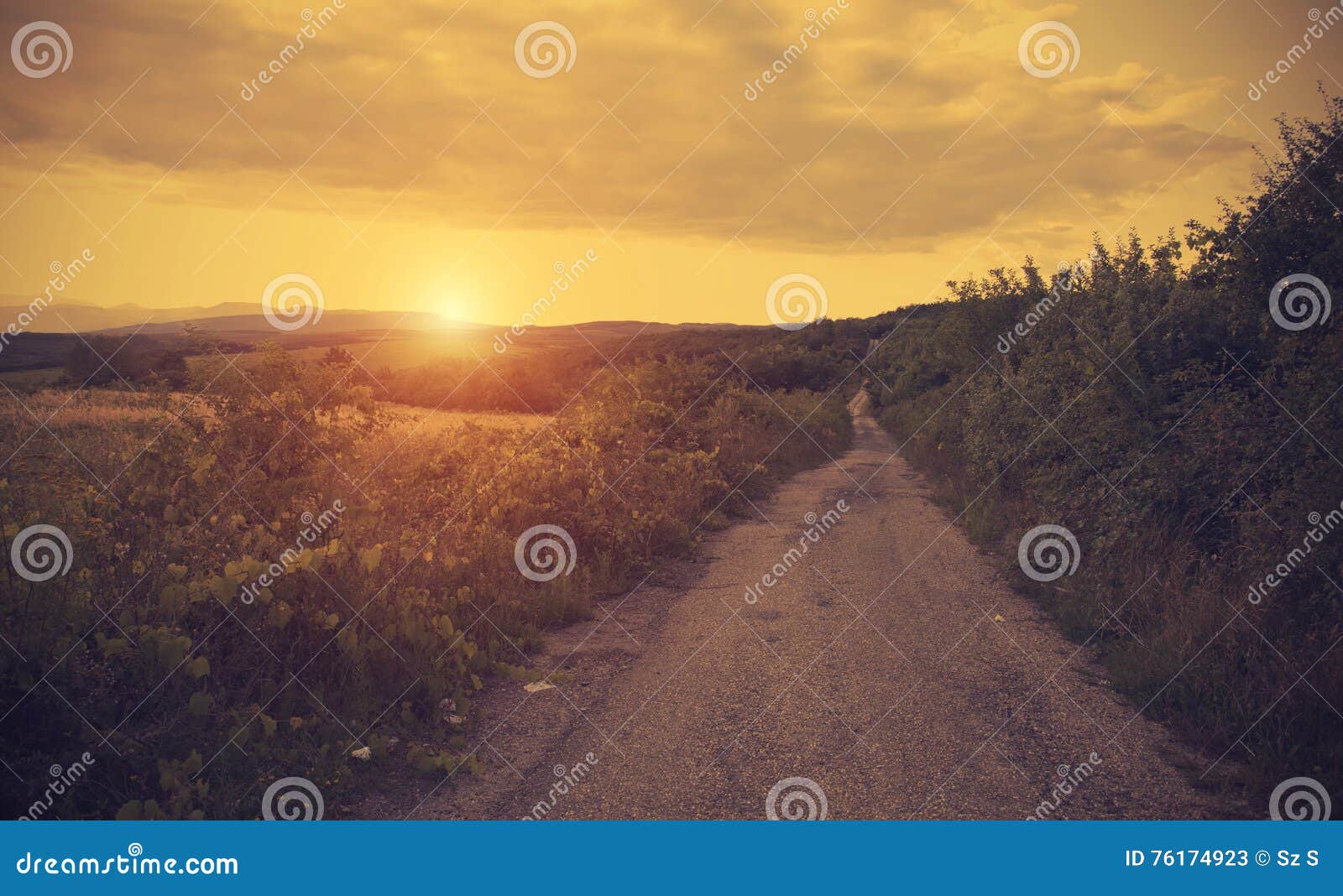 Beautiful Landscape of a Road in the Farm Stock Image - Image of nature ...