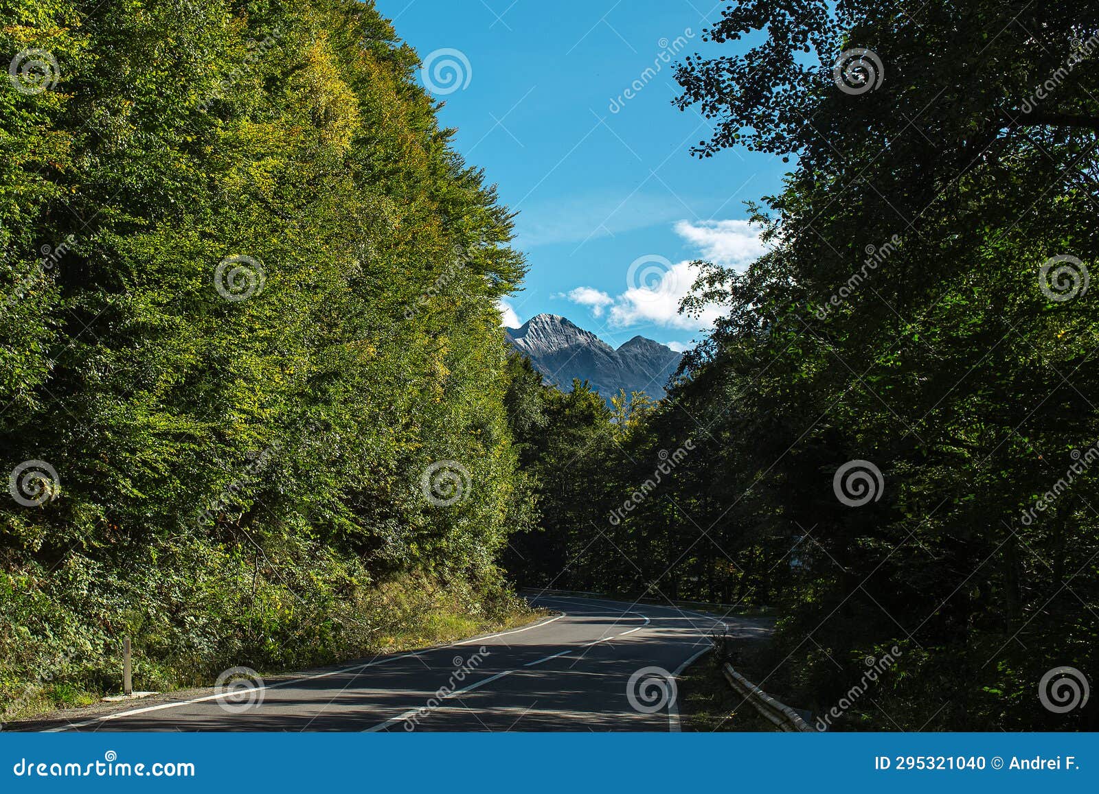 Beautiful Landscape of Road in Forest on Background of Mountains Stock ...