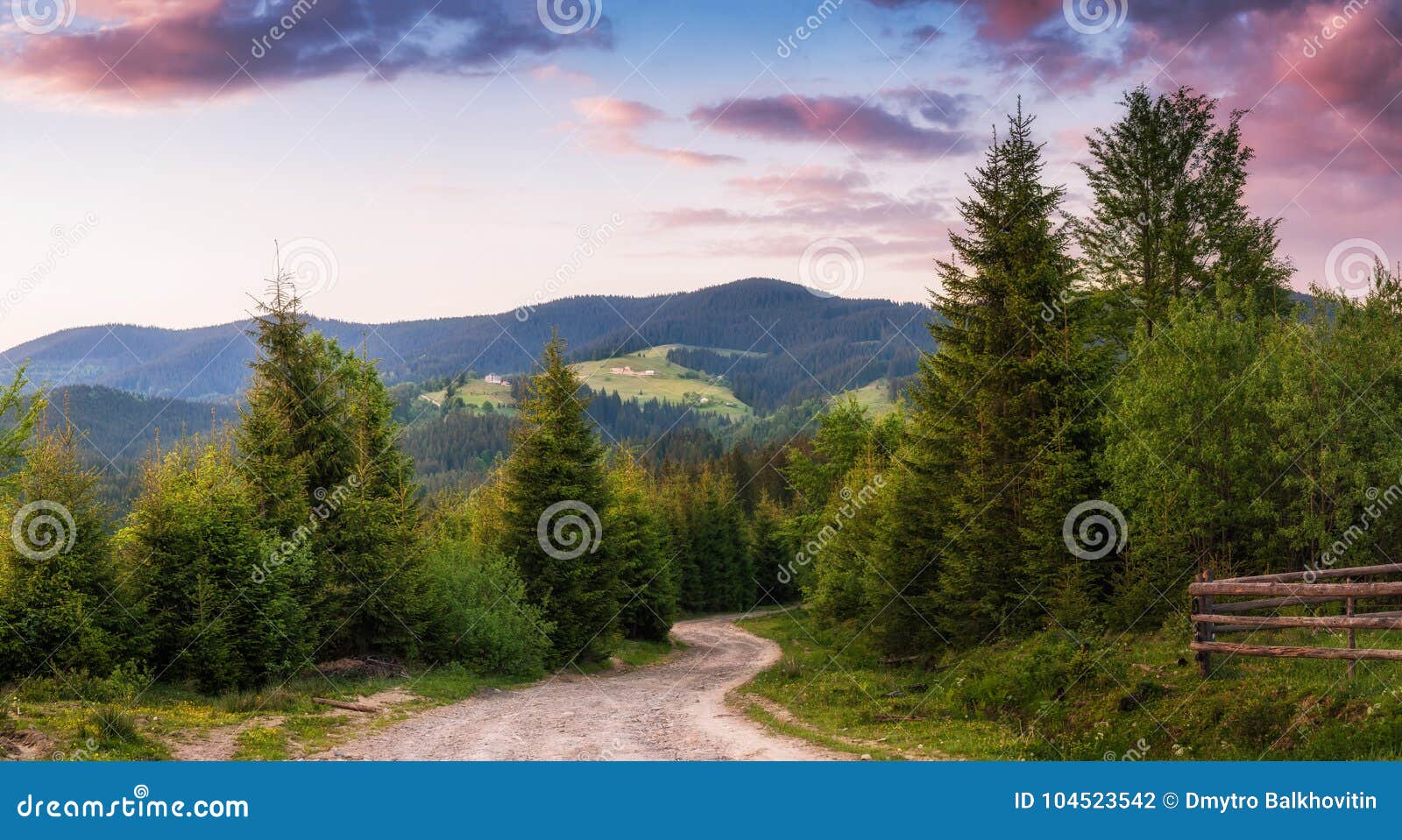 Landscape with Road in Forest Stock Photo - Image of road, maple: 104523542