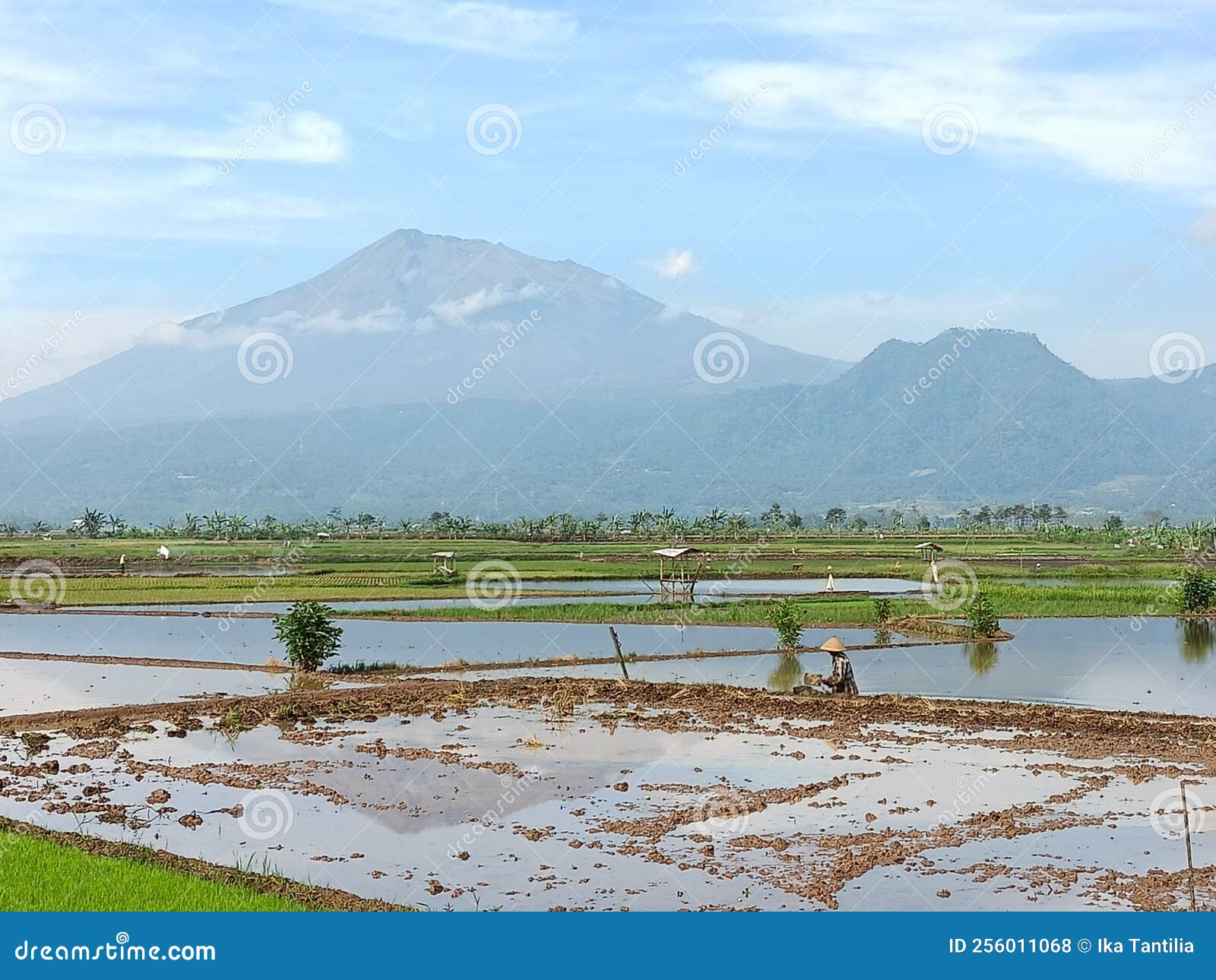 A Beautiful Landscape in Semarang Stock Photo - Image of landscape ...