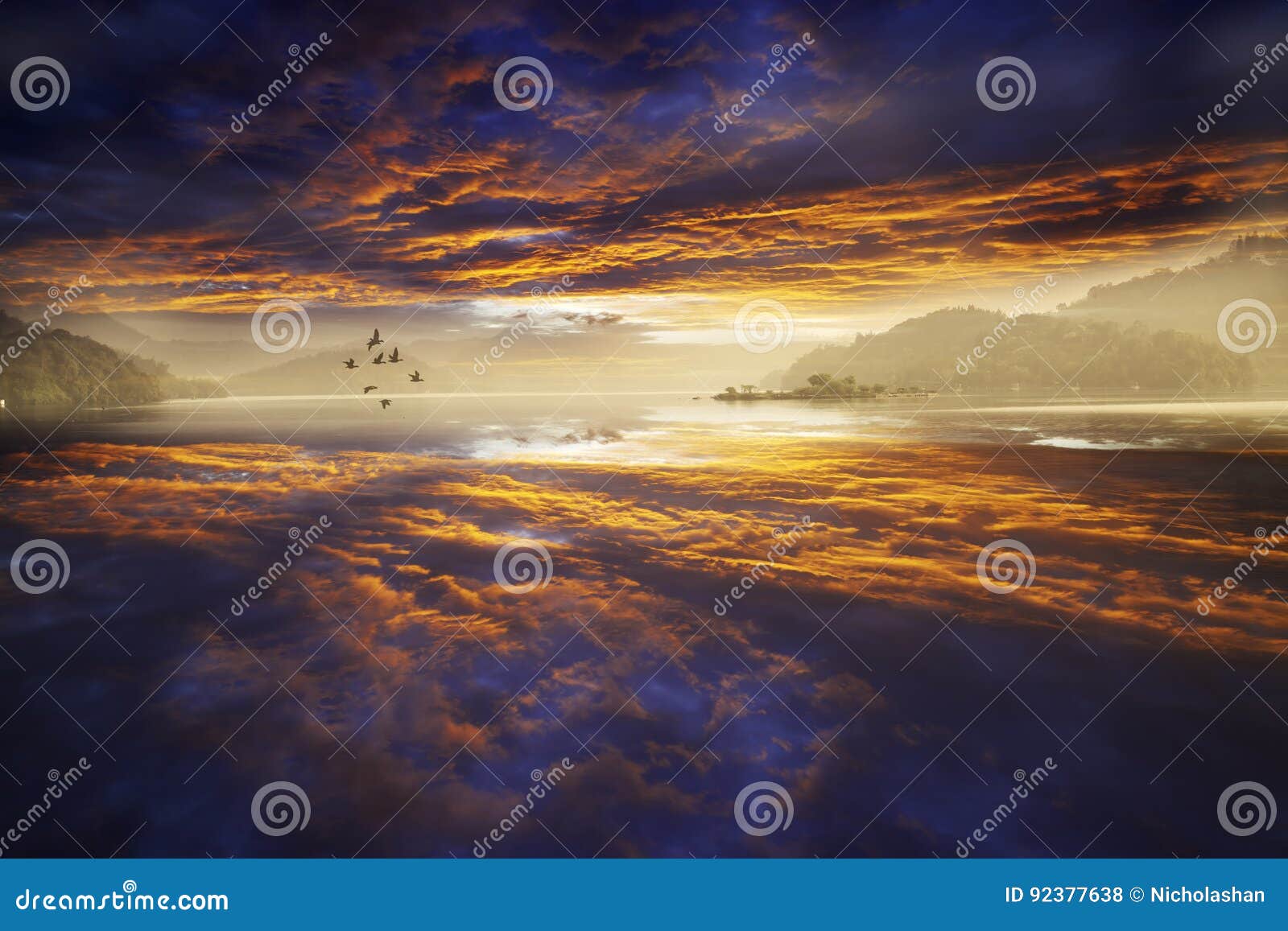 Beautiful Landscape with a Some Bird Flying Stock Photo - Image of ...