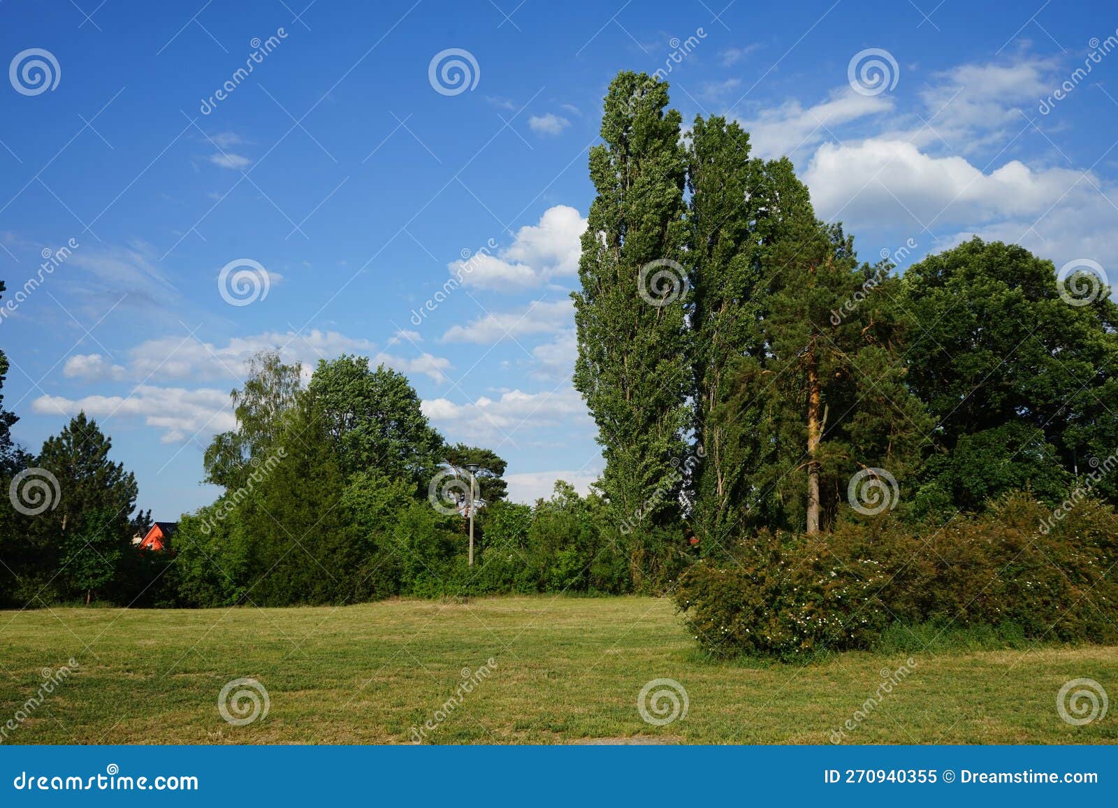 Beautiful Landscape with Spring Vegetation in May. Berlin, Germany ...