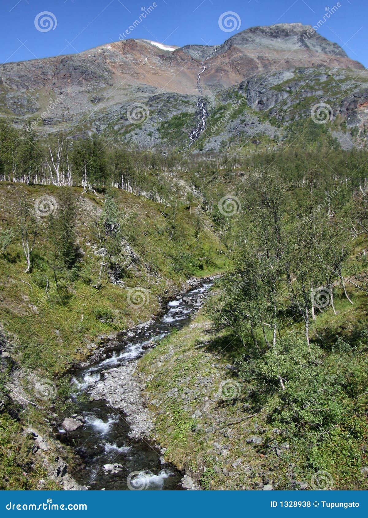 Beautiful Landscape and a Stream in Norway Stock Photo - Image of ...