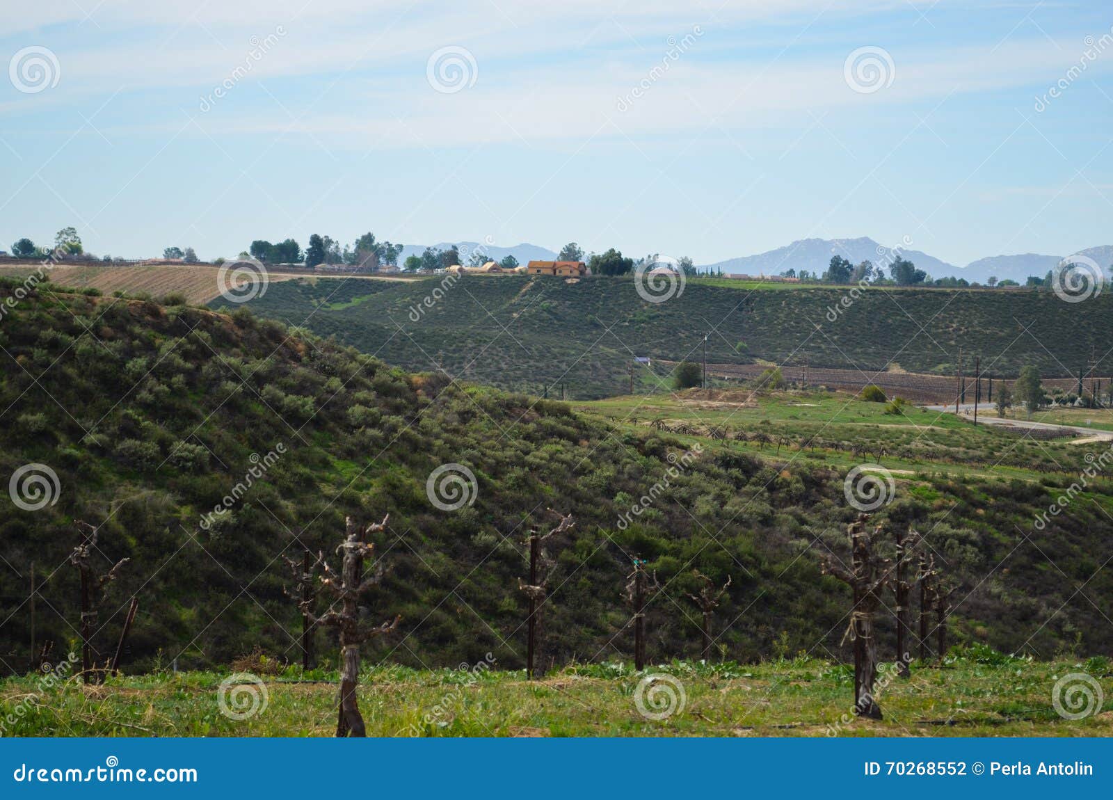Beautiful Landscape in Temecula California Stock Photo - Image of ...