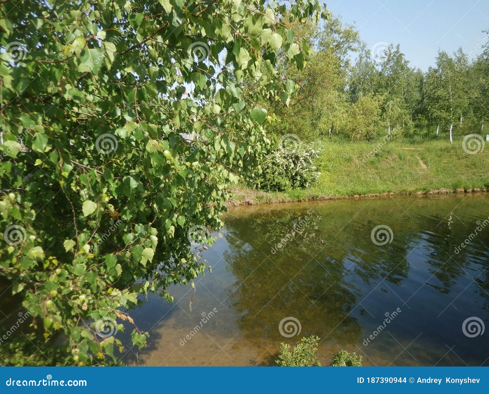Beautiful Landscape with a Tree and Foliage in the Foreground and ...