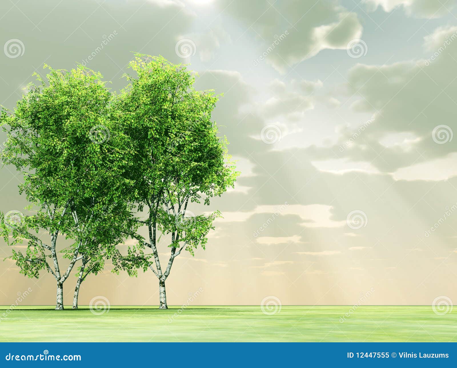 Beautiful Landscape with Trees Stock Illustration - Illustration of ...