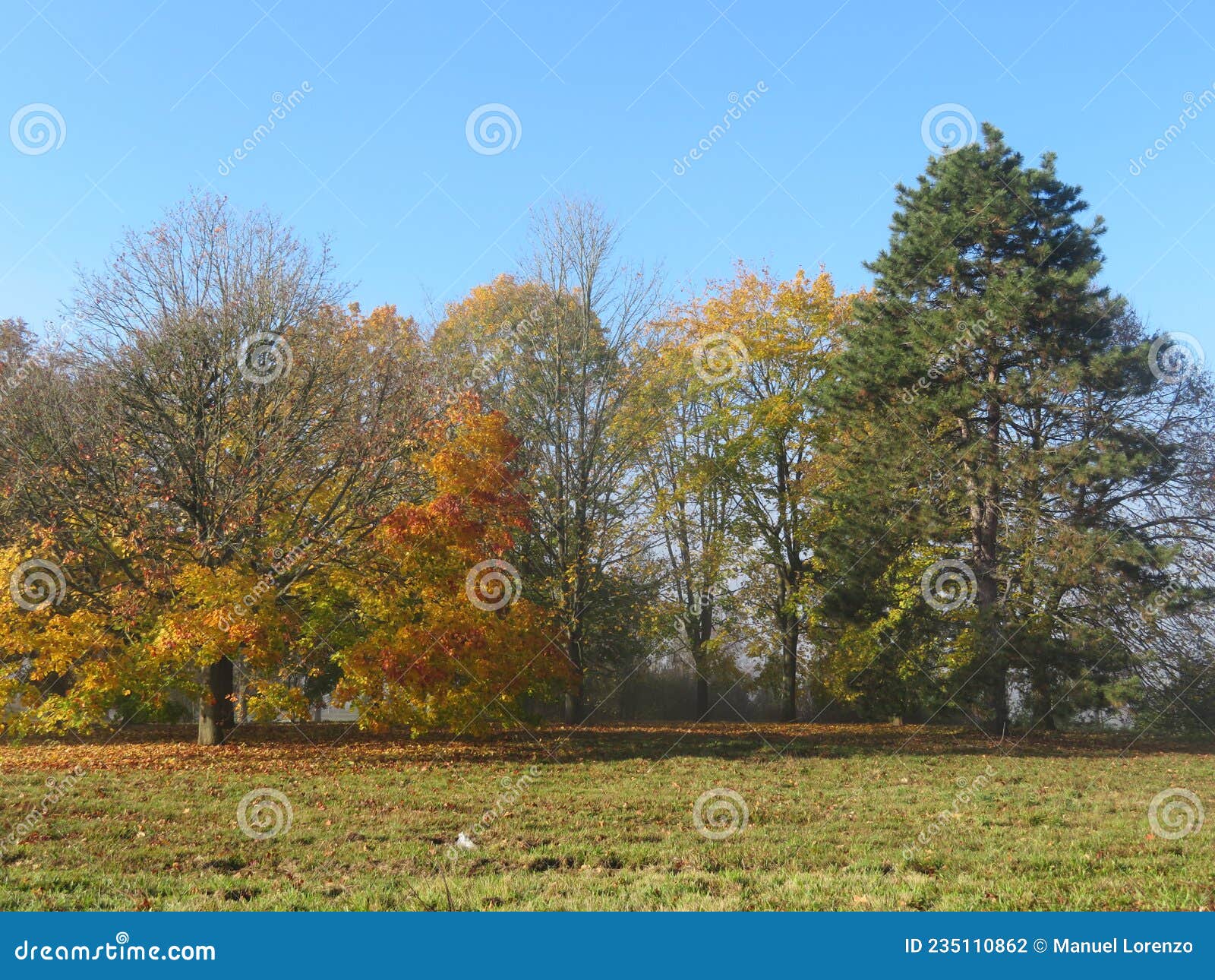 Beautiful Landscape with Trees Field Autumn Horizon Stock Photo - Image ...