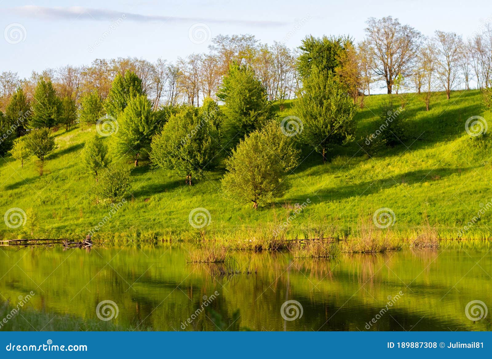 Beautiful Landscape with Trees and Lake Stock Photo - Image of water ...