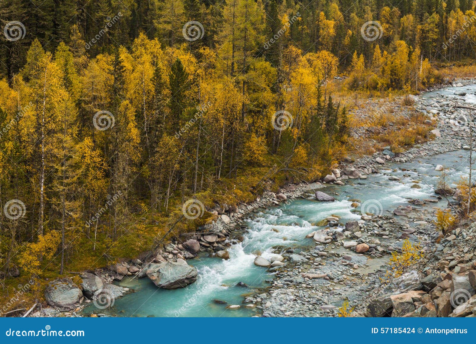 Beautiful Landscape with a View of a Mountain Stream Stock Photo ...