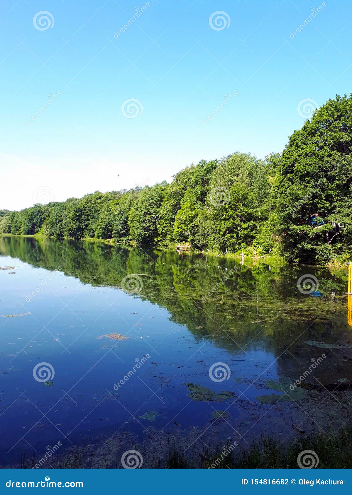 Beautiful Landscape View of the River Bank Stock Photo - Image of ...